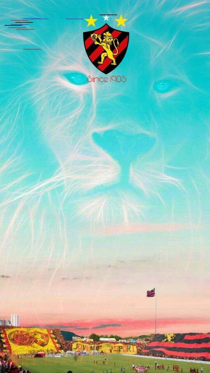 Recife Wallpapers - Top Free Recife Backgrounds - WallpaperAccess