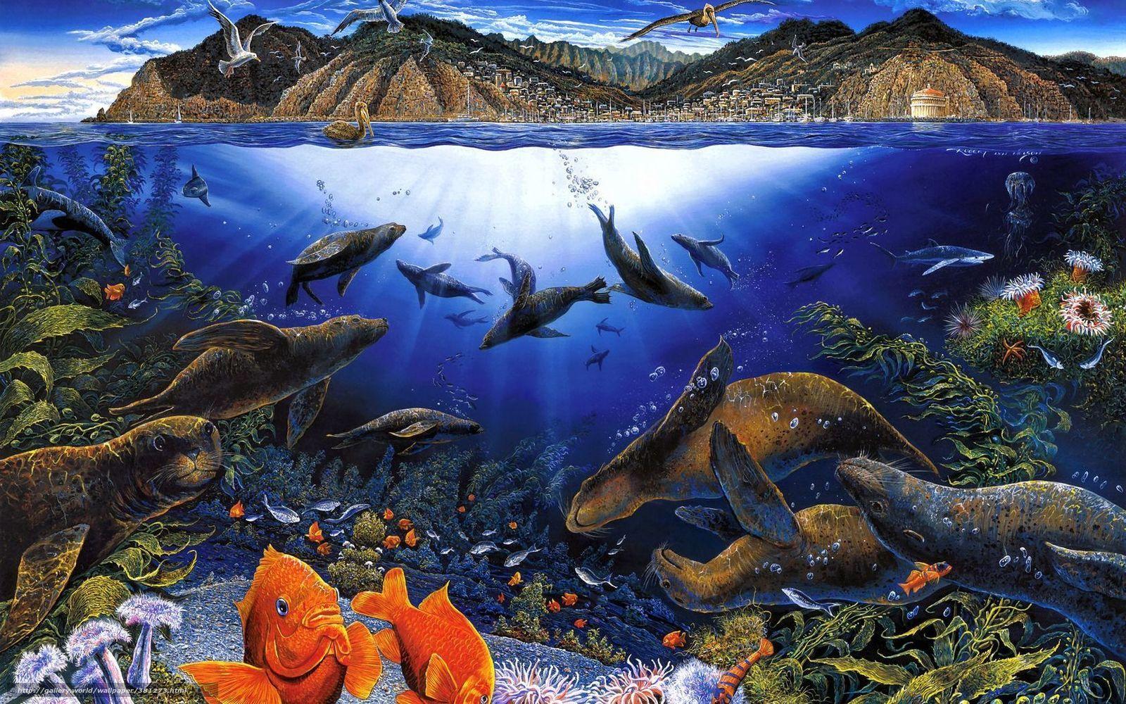 Seabed Wallpapers - Top Free Seabed Backgrounds - WallpaperAccess