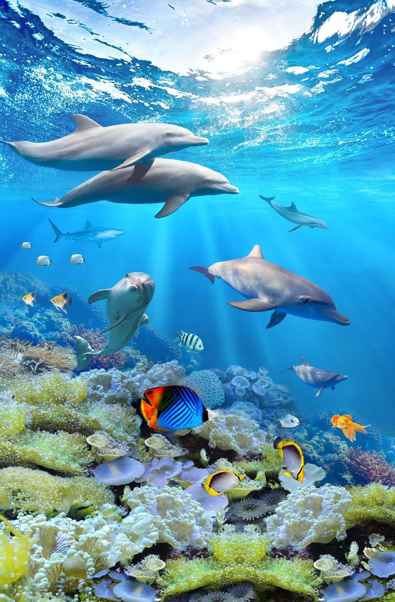 Seabed Wallpapers - Top Free Seabed Backgrounds - WallpaperAccess