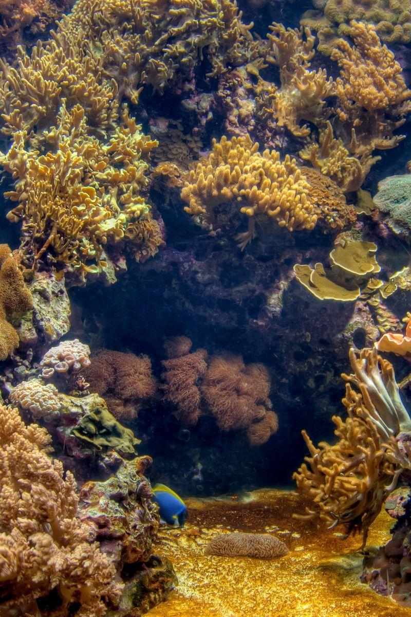 Seabed Wallpapers - Top Free Seabed Backgrounds - WallpaperAccess