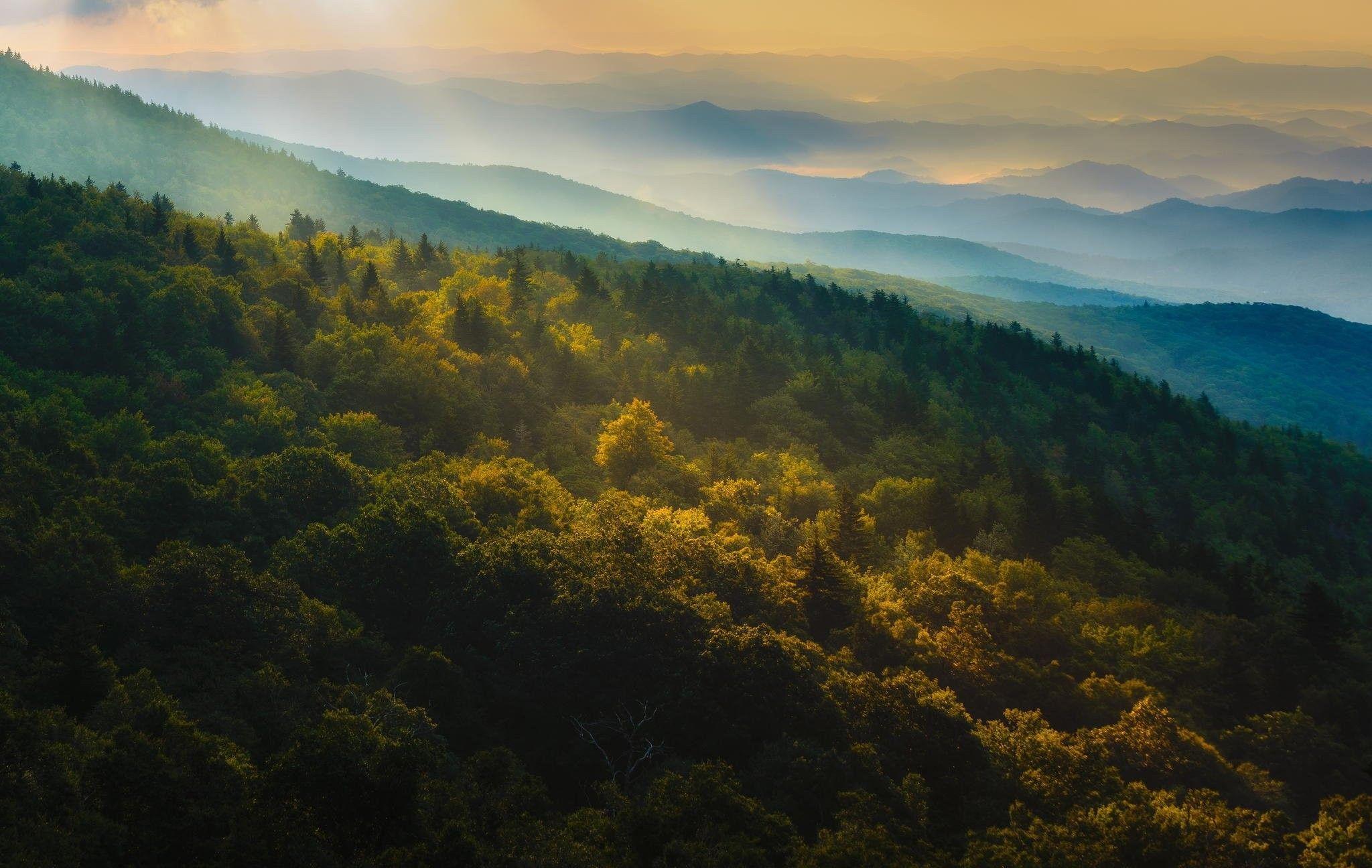 Panoramic Forest Wallpapers - Top Free Panoramic Forest Backgrounds ...