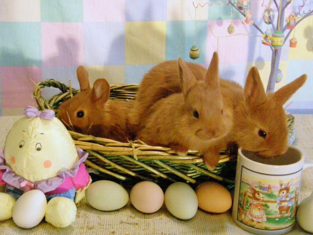 Easter Basket Wallpapers - Top Free Easter Basket Backgrounds ...