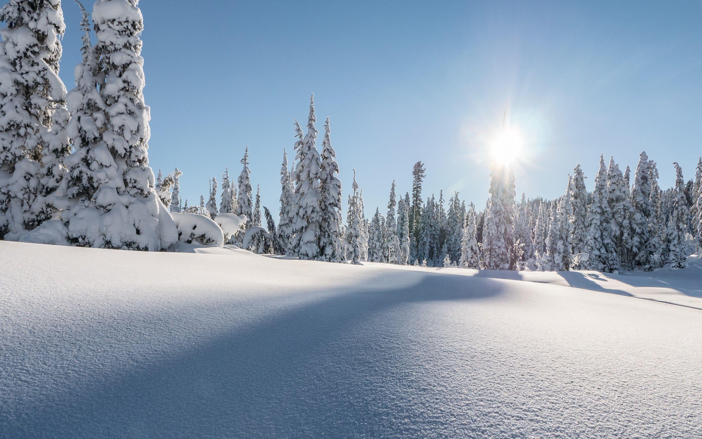 Mt. Washington Wallpapers - Top Free Mt. Washington Backgrounds ...