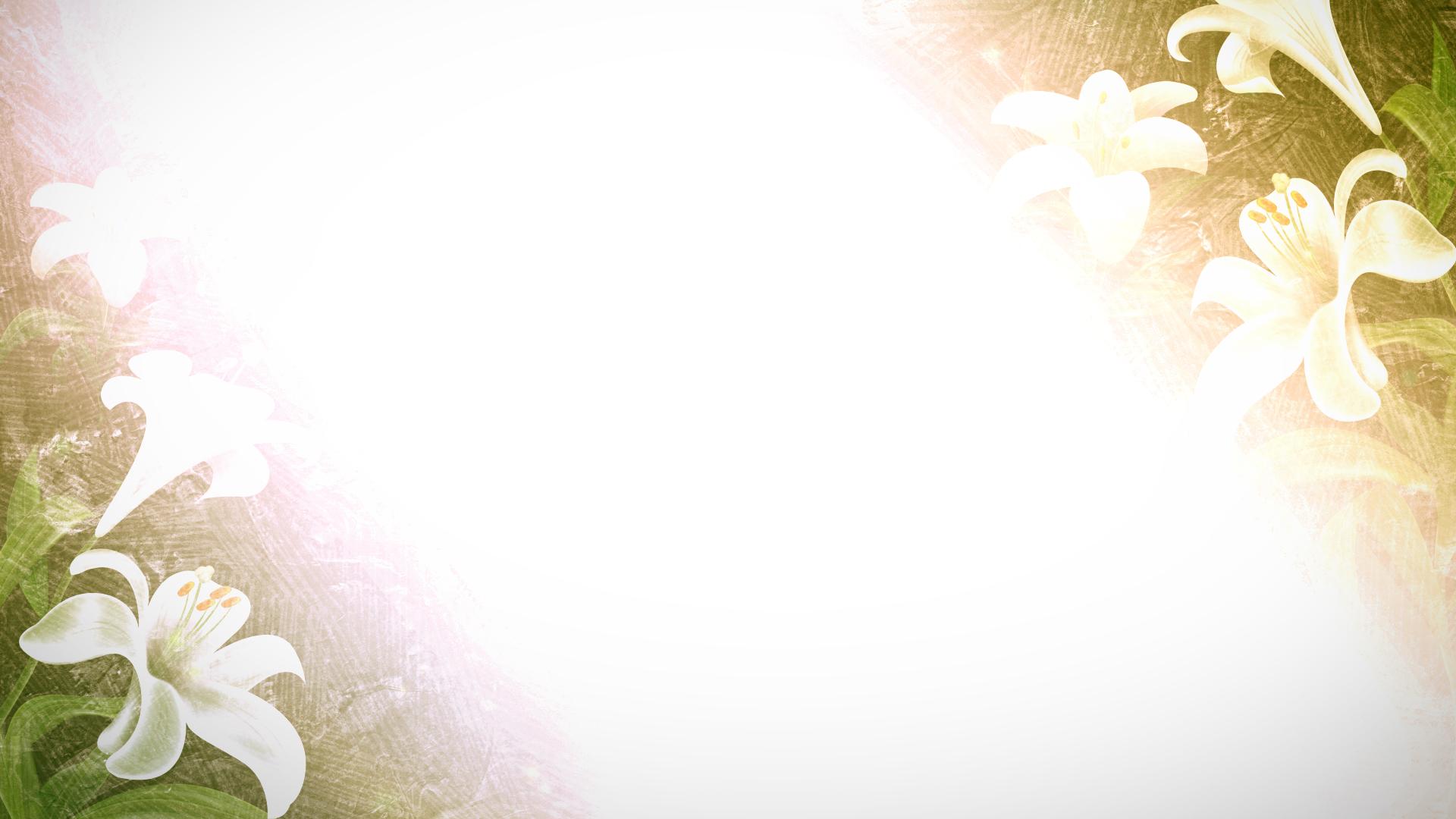 Easter Lily Wallpapers - Top Free Easter Lily Backgrounds - WallpaperAccess