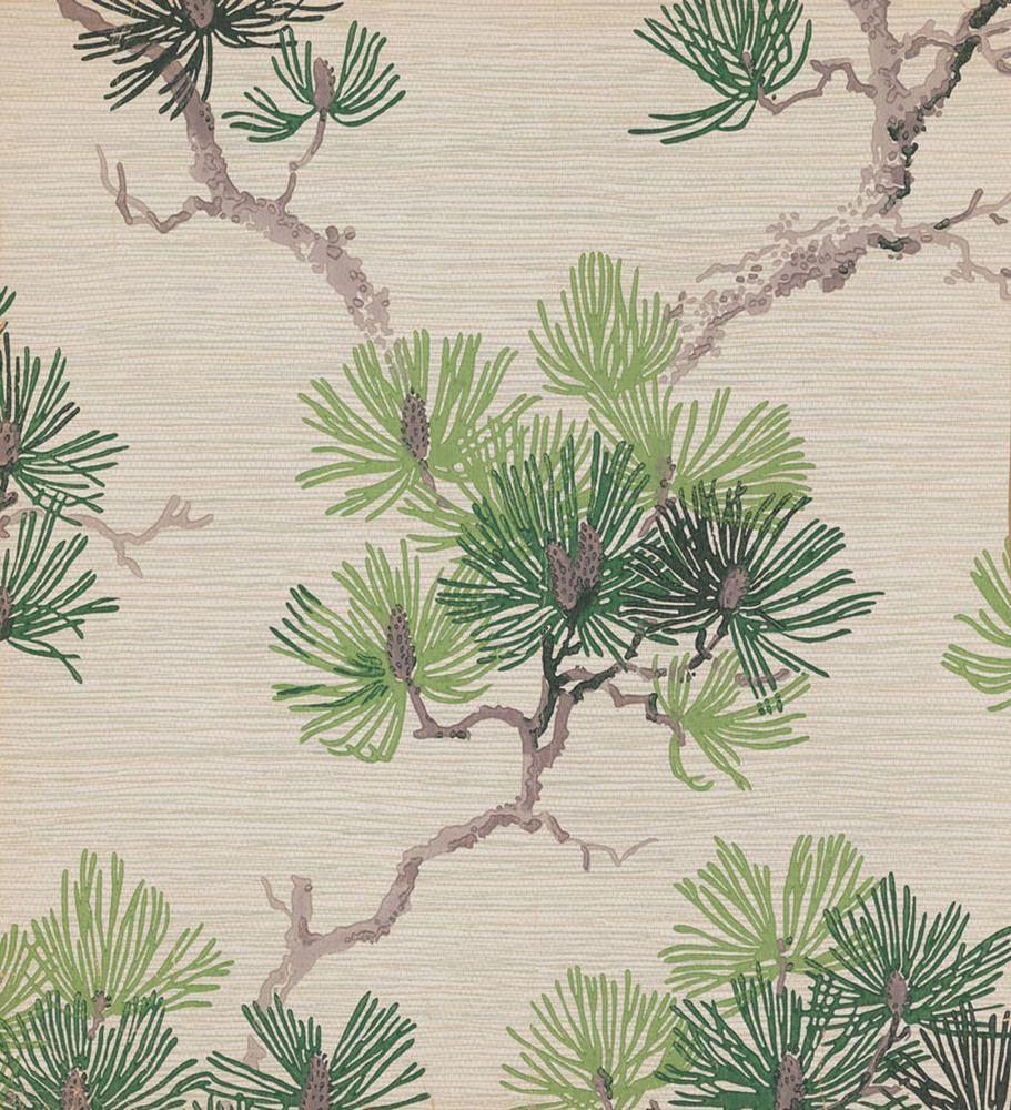 Pine Needles Wallpapers - Top Free Pine Needles Backgrounds ...