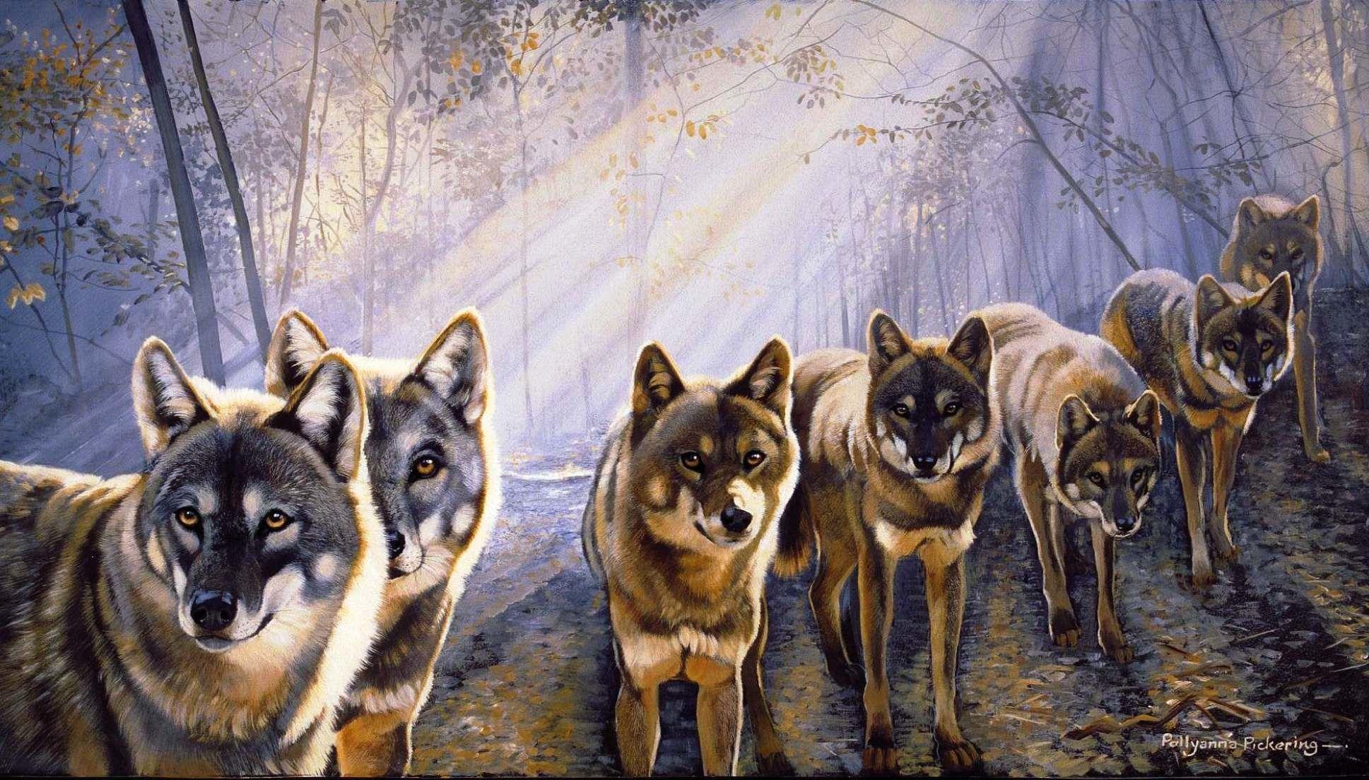 Pack of Wolves Wallpapers - Top Free Pack of Wolves Backgrounds ...