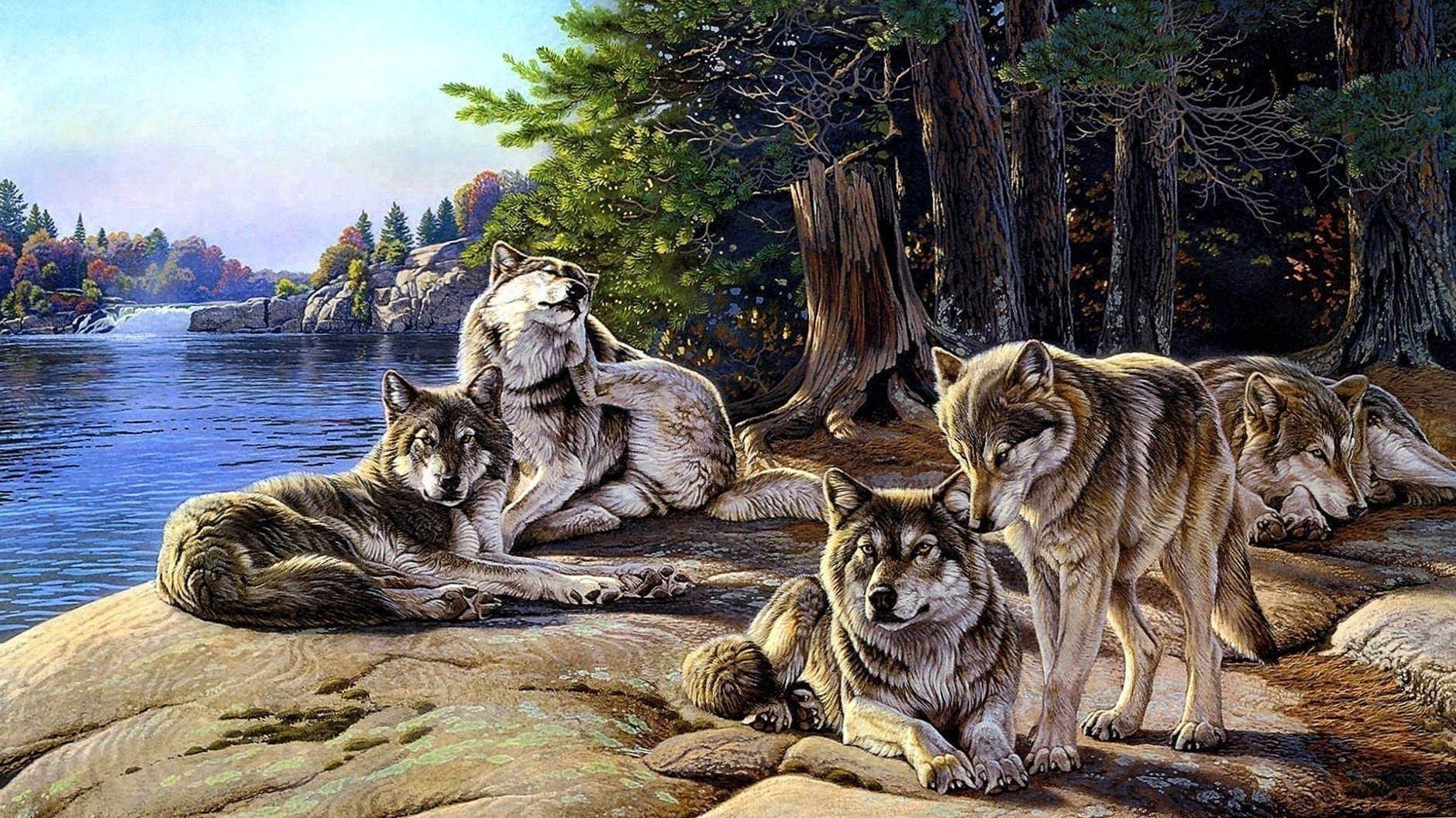 Pack of Wolves Wallpapers - Top Free Pack of Wolves Backgrounds ...