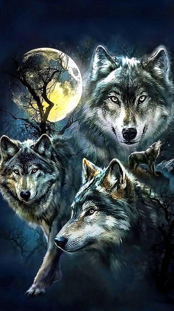 Pack of Wolves Wallpapers - Top Free Pack of Wolves Backgrounds ...