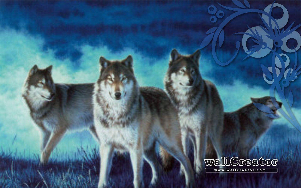 Pack of Wolves Wallpapers - Top Free Pack of Wolves Backgrounds ...