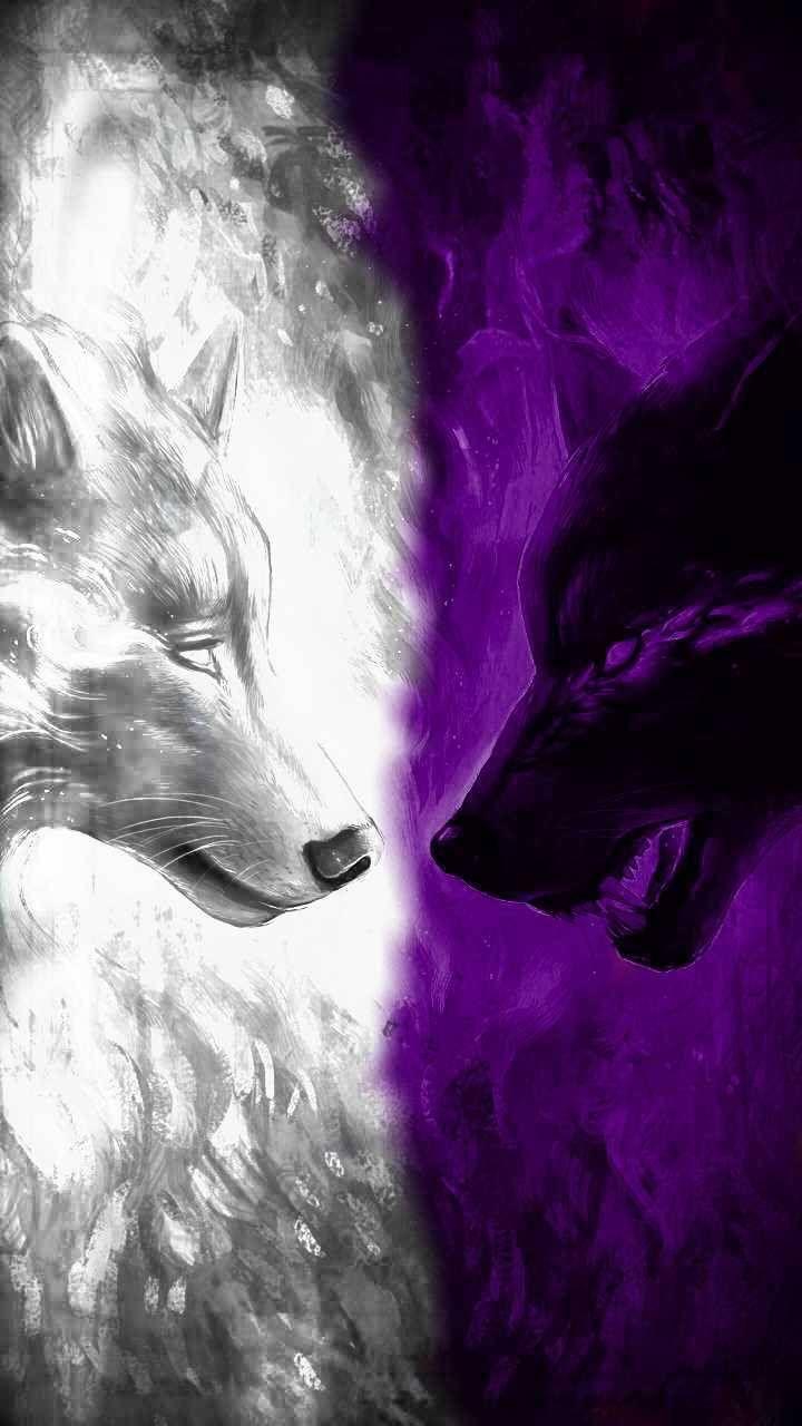 Pack of Wolves Wallpapers - Top Free Pack of Wolves Backgrounds ...