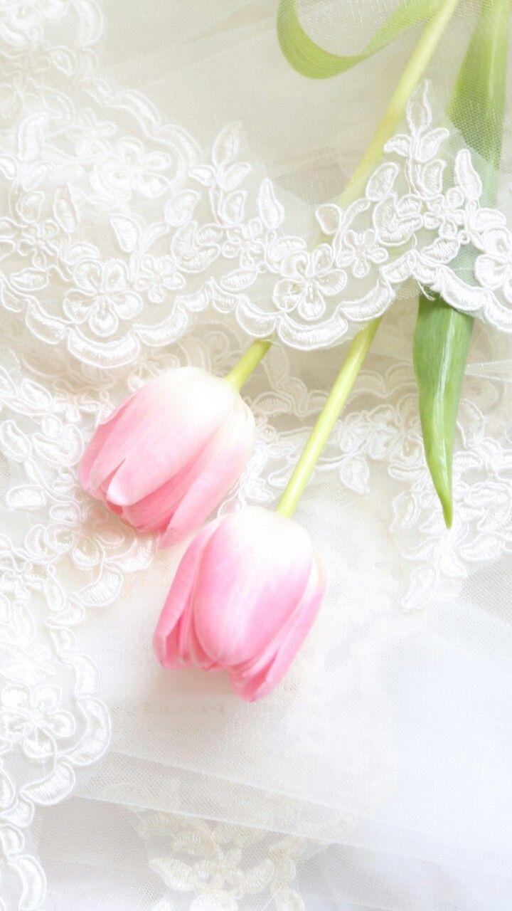 Pastel Tulips Wallpapers - Top Free Pastel Tulips Backgrounds ...