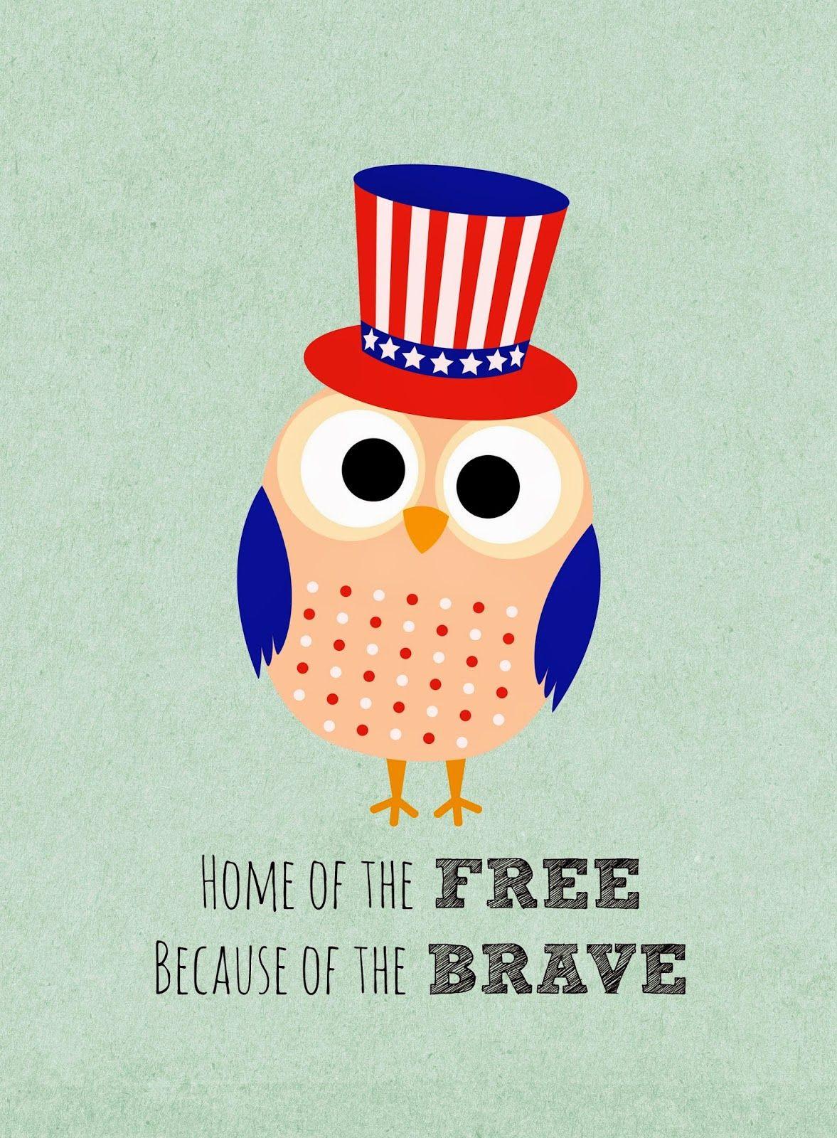Patriotic Owl Wallpapers - Top Free Patriotic Owl Backgrounds ...