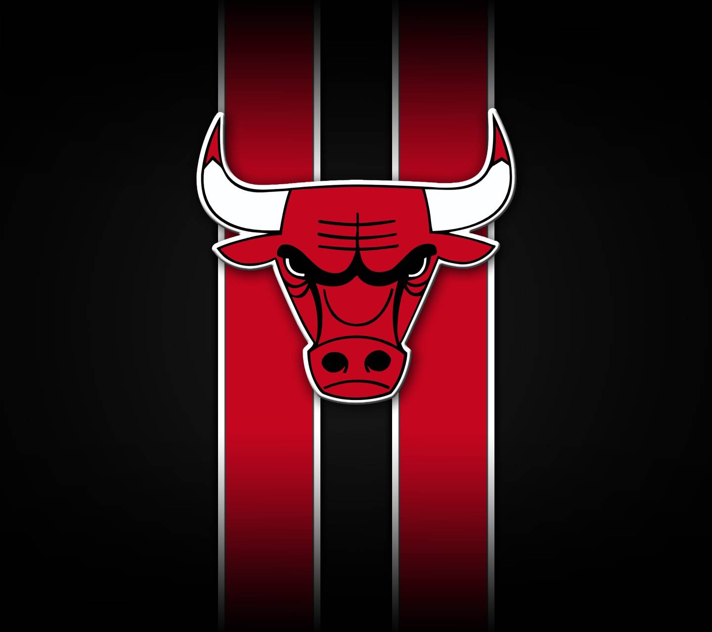Bulls Wallpapers - Top Free Bulls Backgrounds - WallpaperAccess