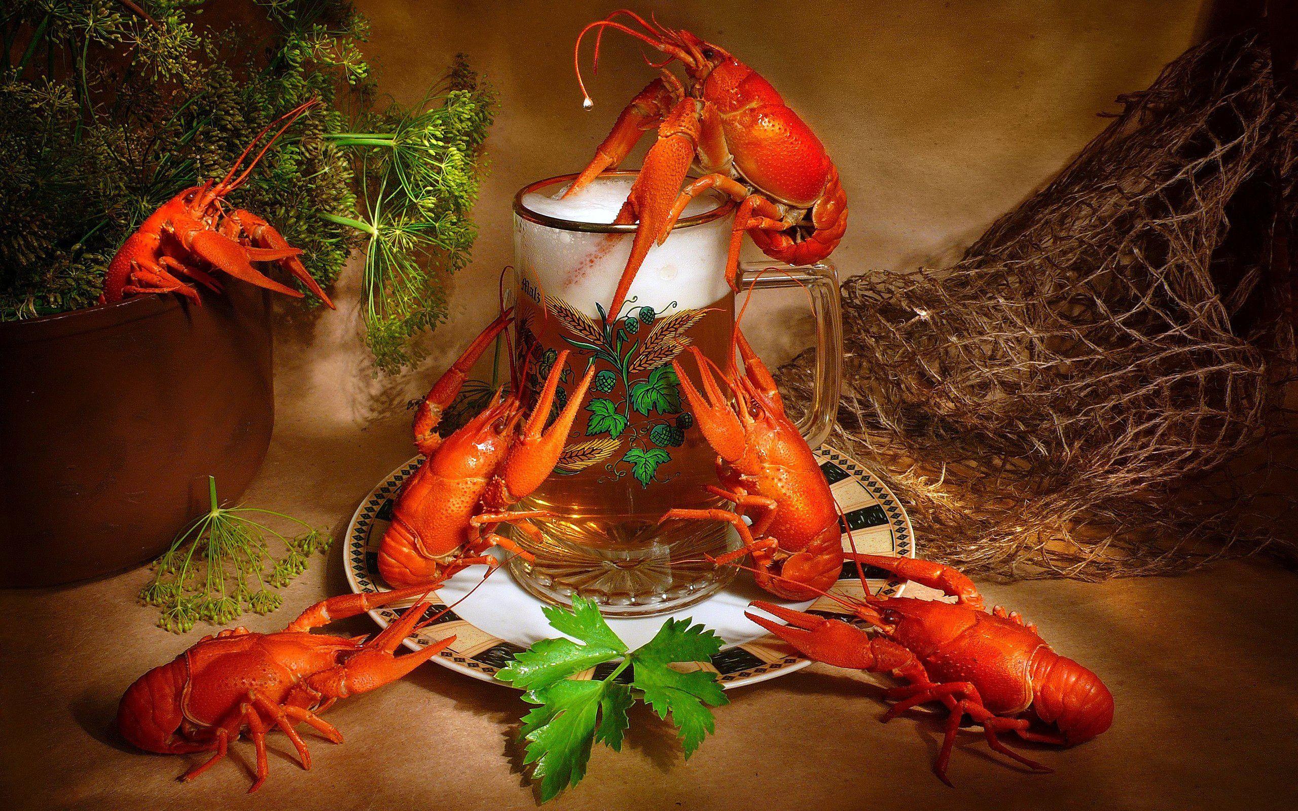 Crayfish Wallpapers - Top Free Crayfish Backgrounds - WallpaperAccess