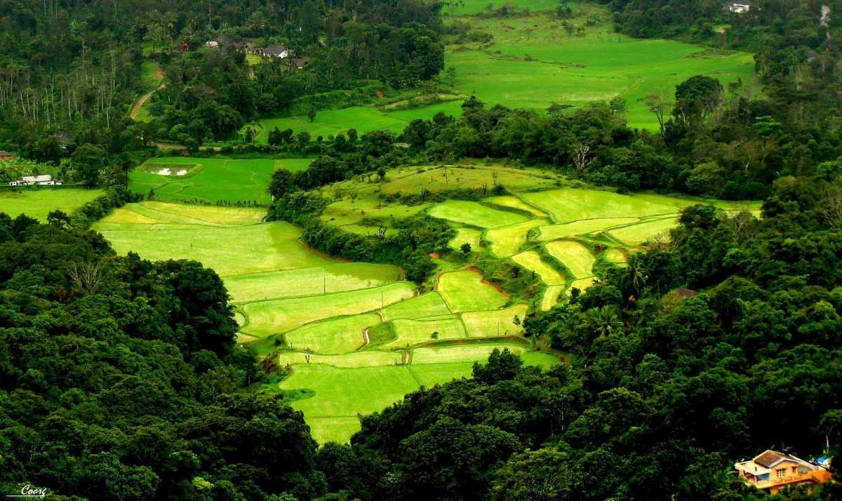 Coorg Wallpapers - Top Free Coorg Backgrounds - WallpaperAccess