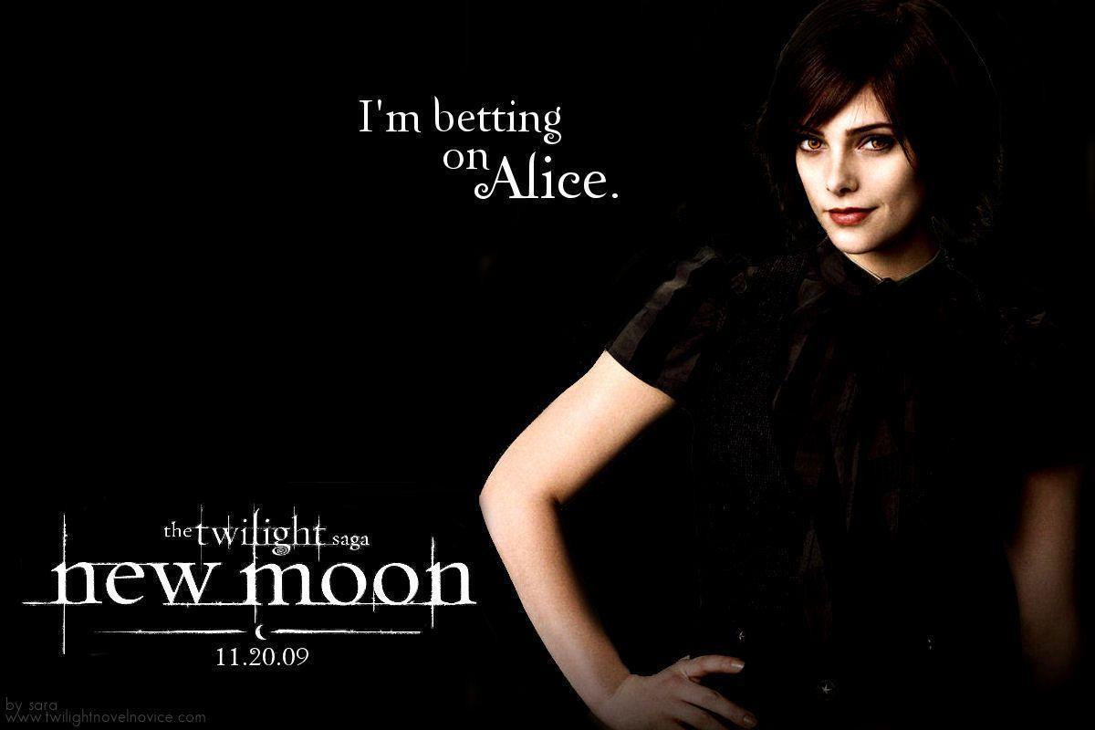 Alice Twilight Wallpapers - Top Free Alice Twilight Backgrounds ...