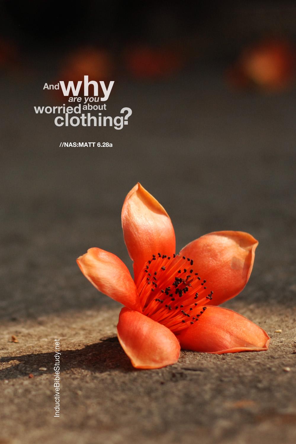 Christian Mobile Wallpapers - Top Free Christian Mobile Backgrounds ...