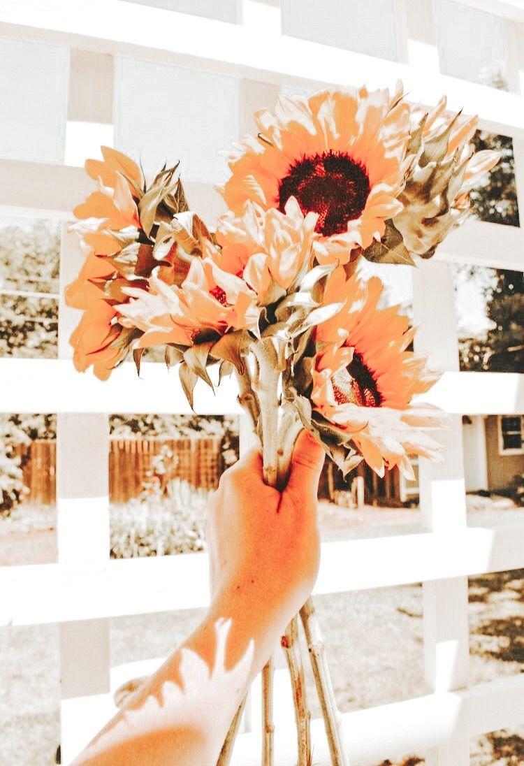 Collage Flower iPhone Wallpapers - Top Free Collage Flower iPhone ...