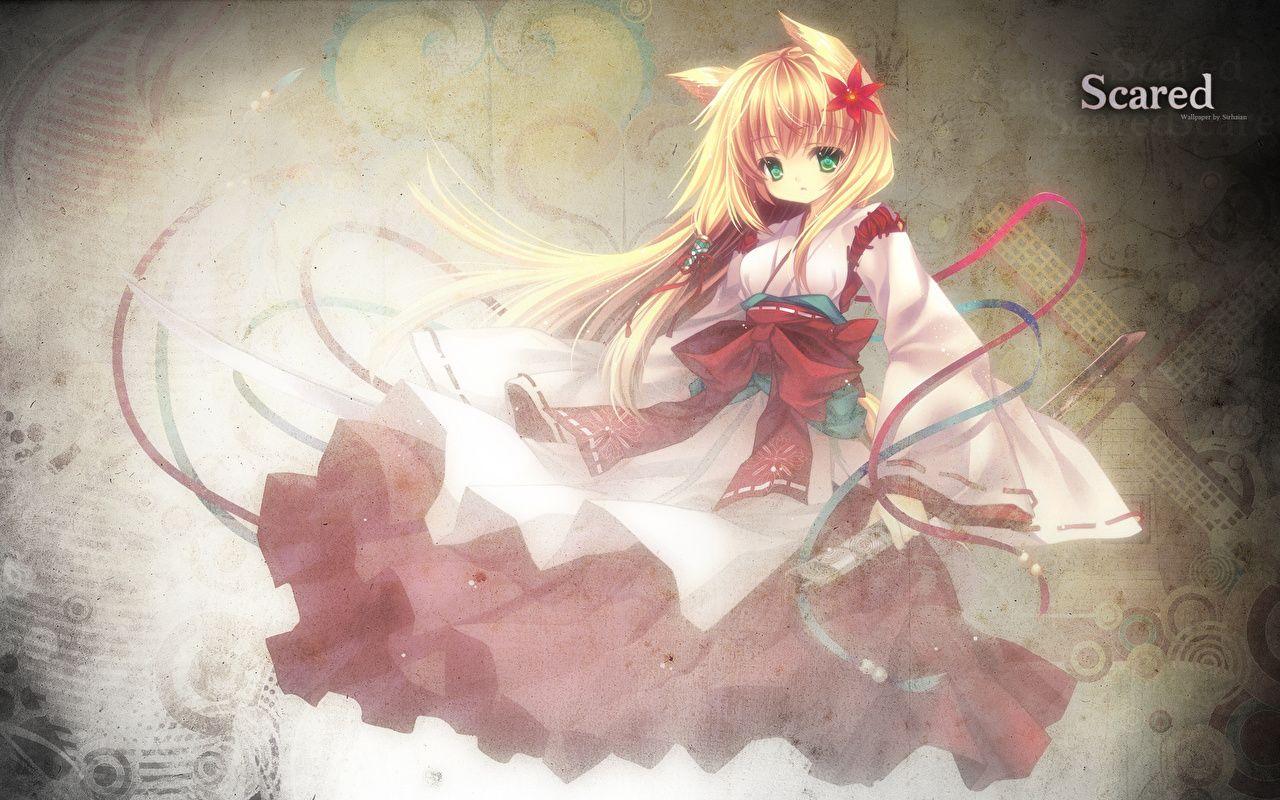 Kitsune Wallpapers - Top Free Kitsune Backgrounds - WallpaperAccess