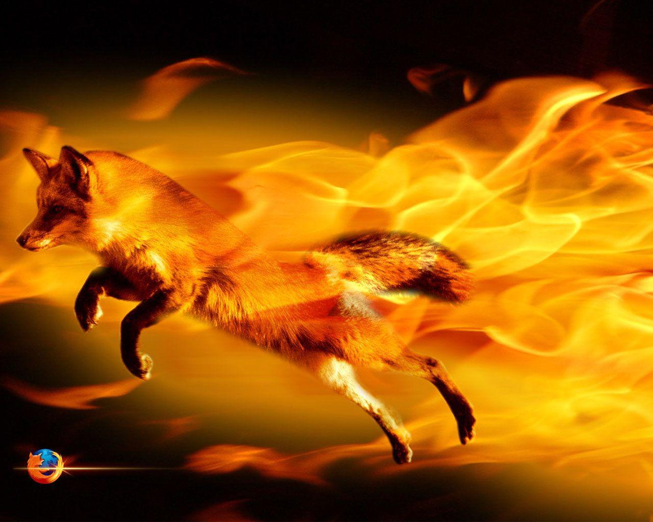 Kitsune Fox Wallpapers - Top Free Kitsune Fox Backgrounds - WallpaperAccess