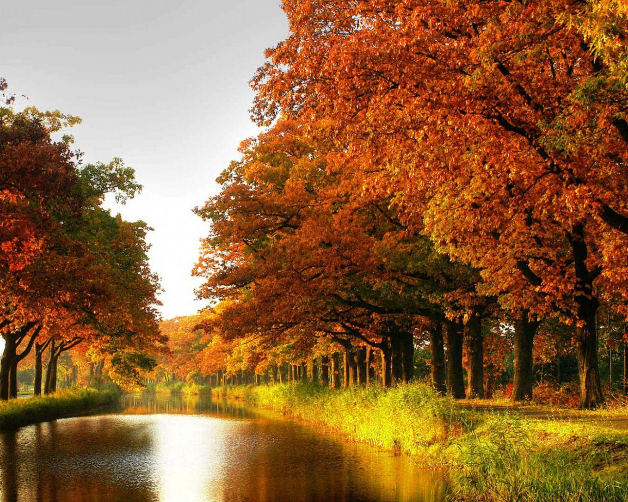 Fall River Wallpapers - Top Free Fall River Backgrounds - WallpaperAccess