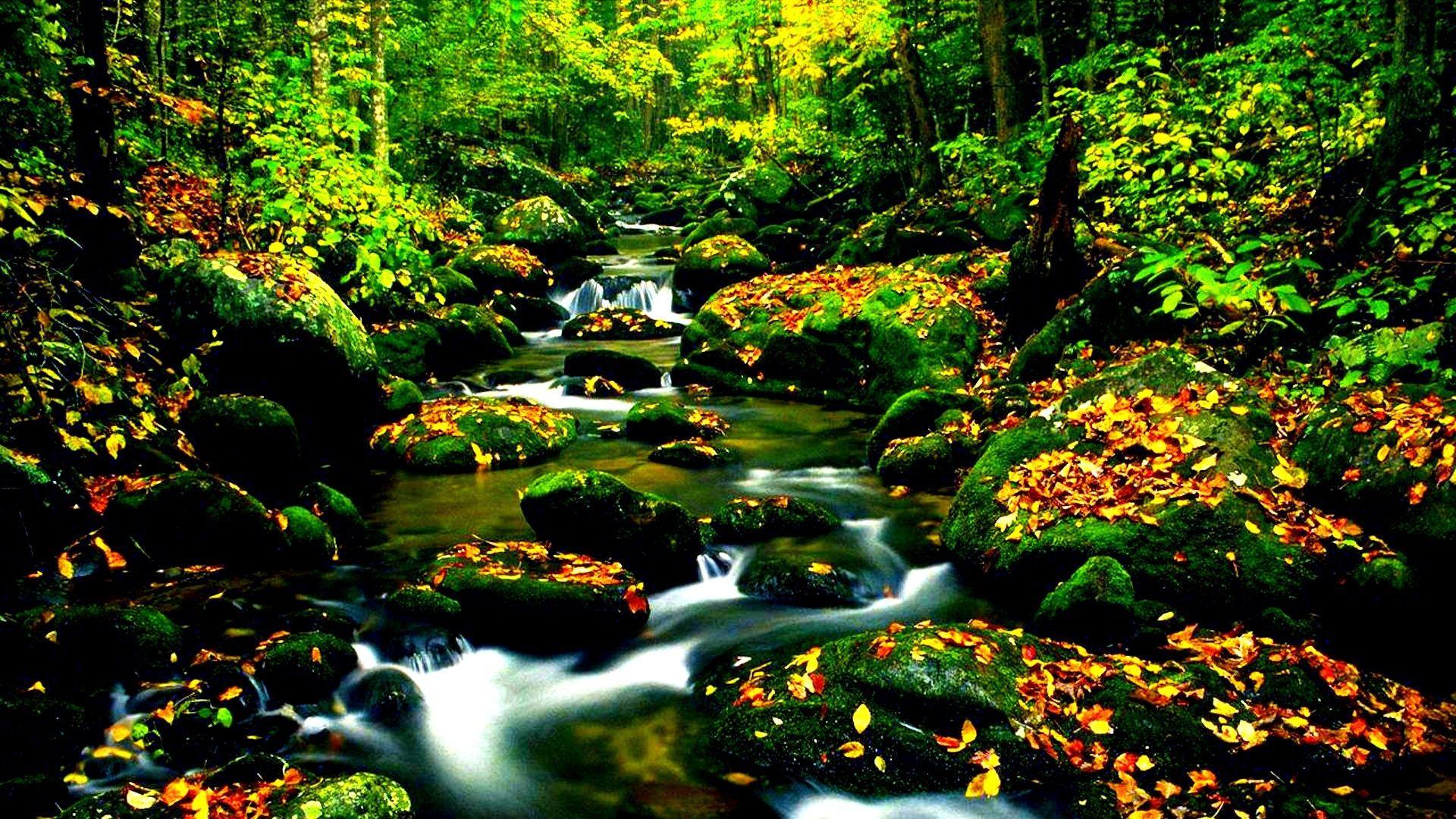 Fall River Wallpapers - Top Free Fall River Backgrounds - WallpaperAccess