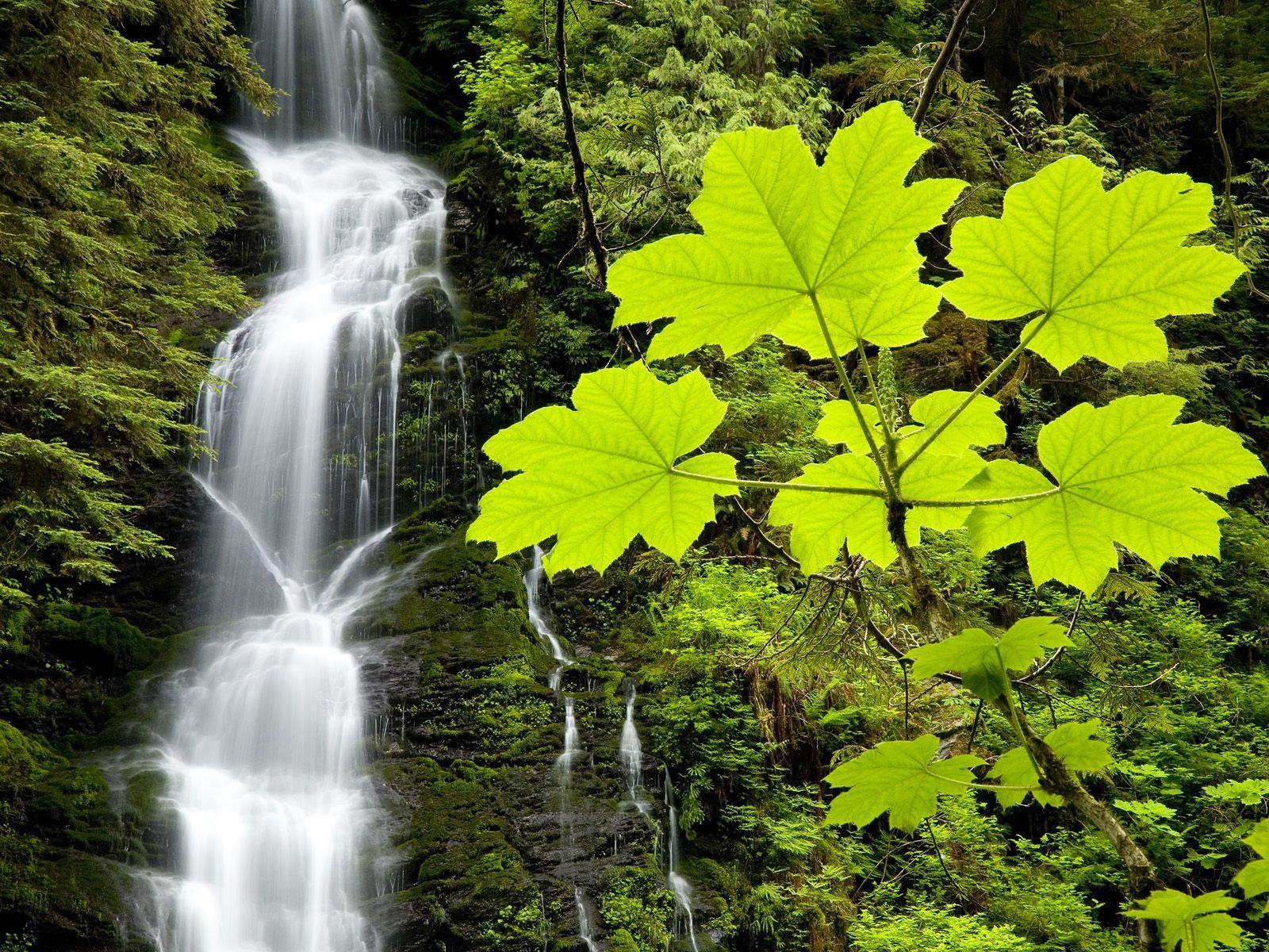 Fall River Wallpapers - Top Free Fall River Backgrounds - WallpaperAccess