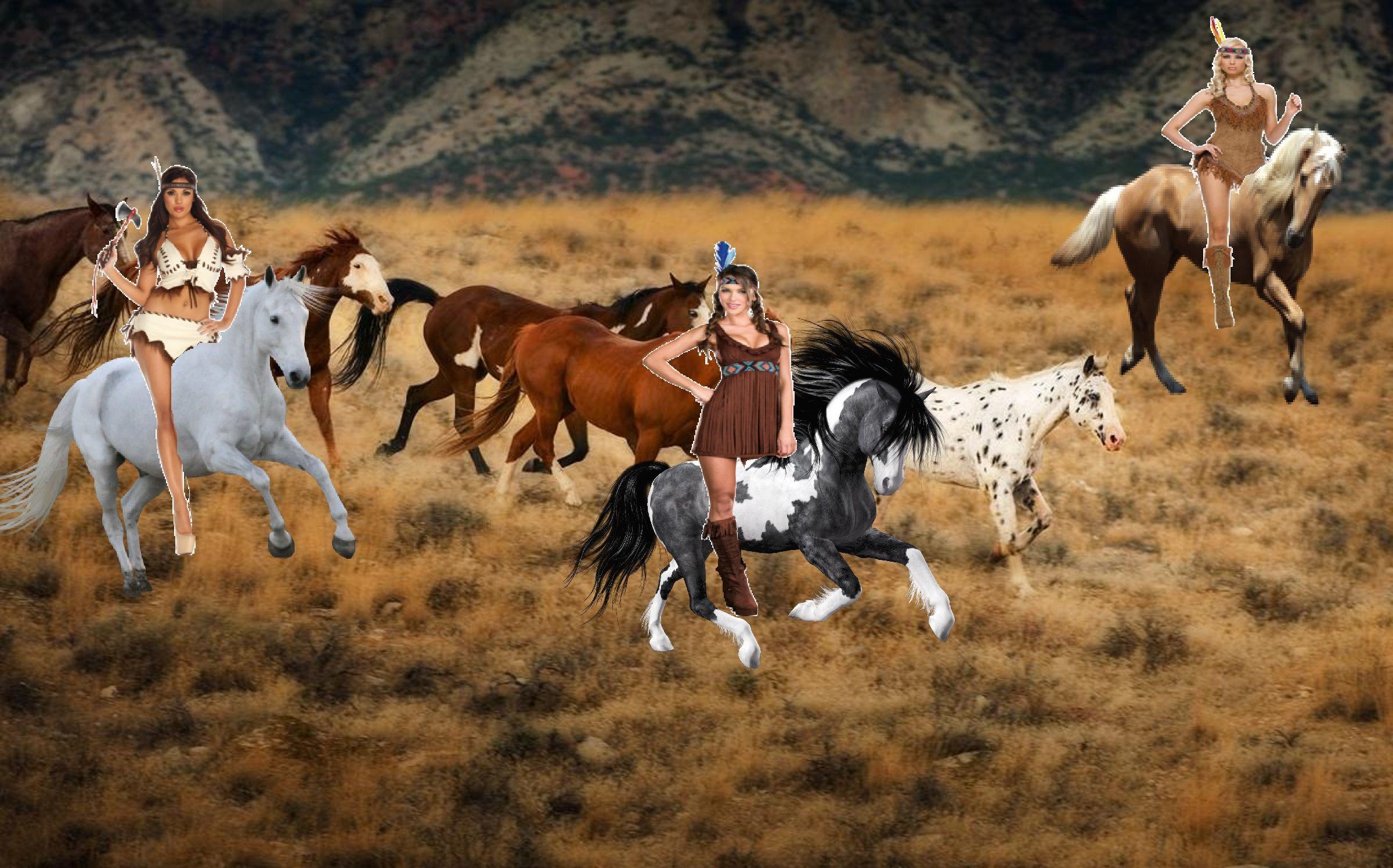 Native American Horses Wallpapers - Top Free Native American Horses ...