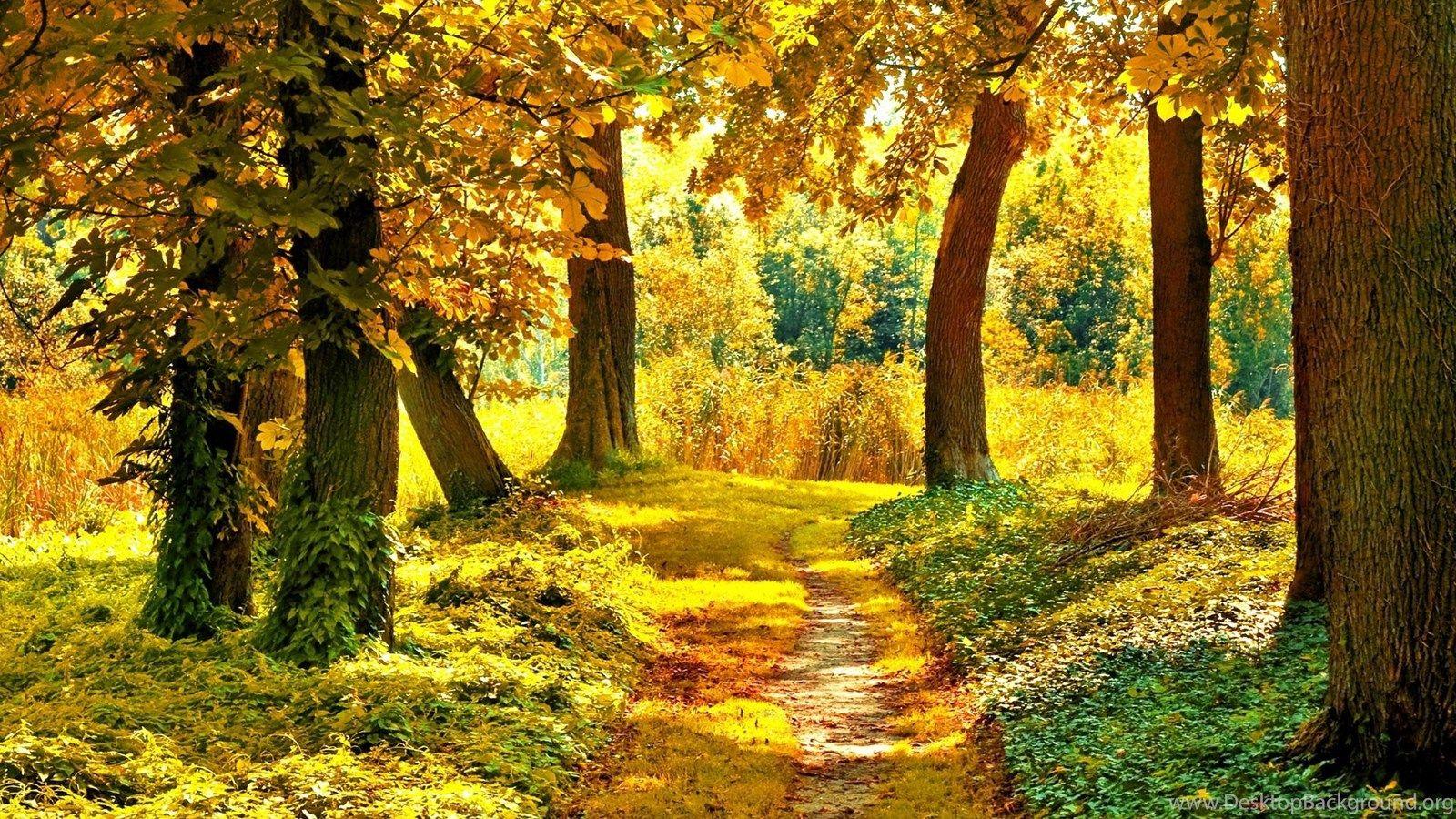 Fall River Wallpapers - Top Free Fall River Backgrounds - WallpaperAccess