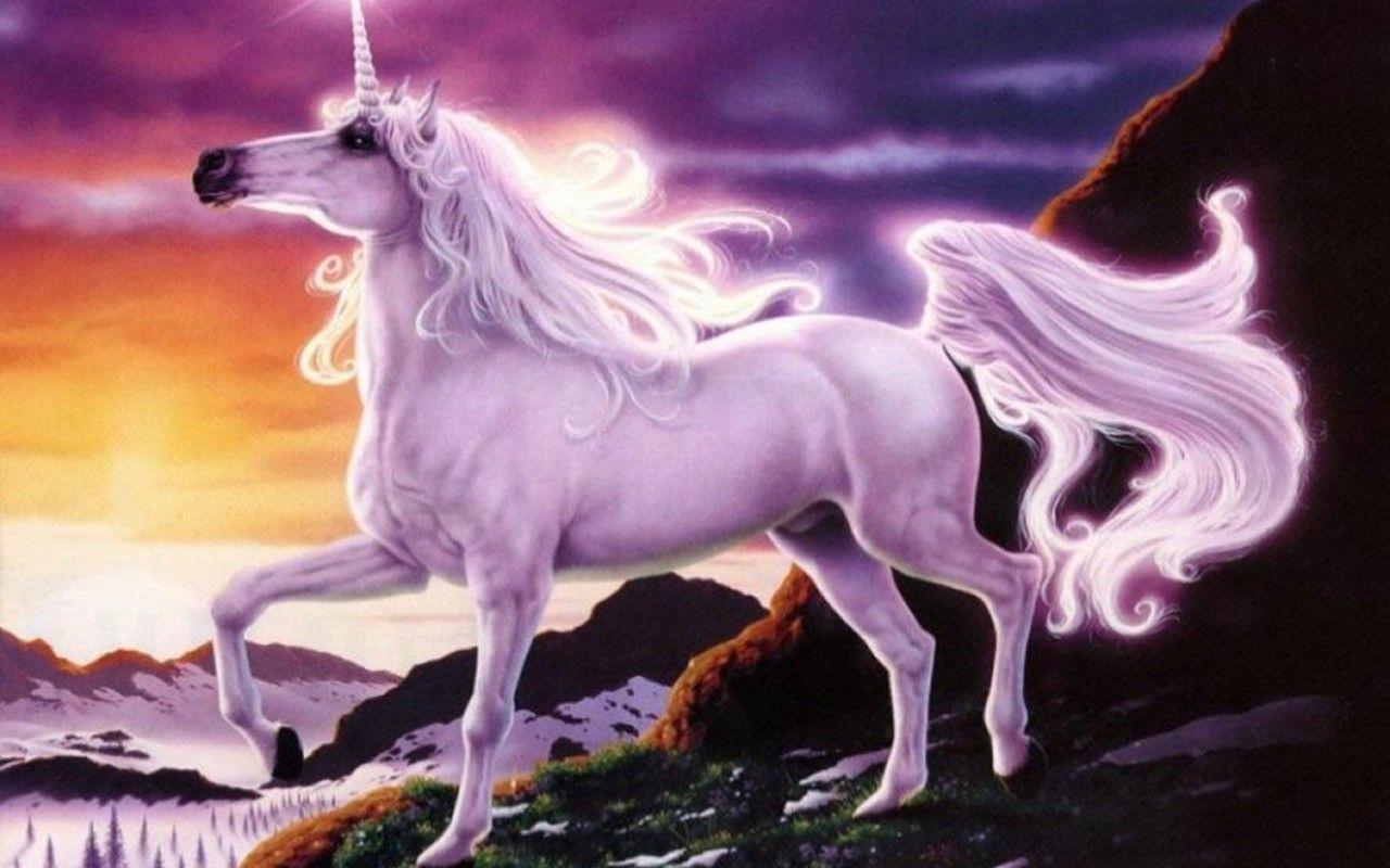 Magical Unicorn Wallpapers - Top Free Magical Unicorn Backgrounds - WallpaperAccess