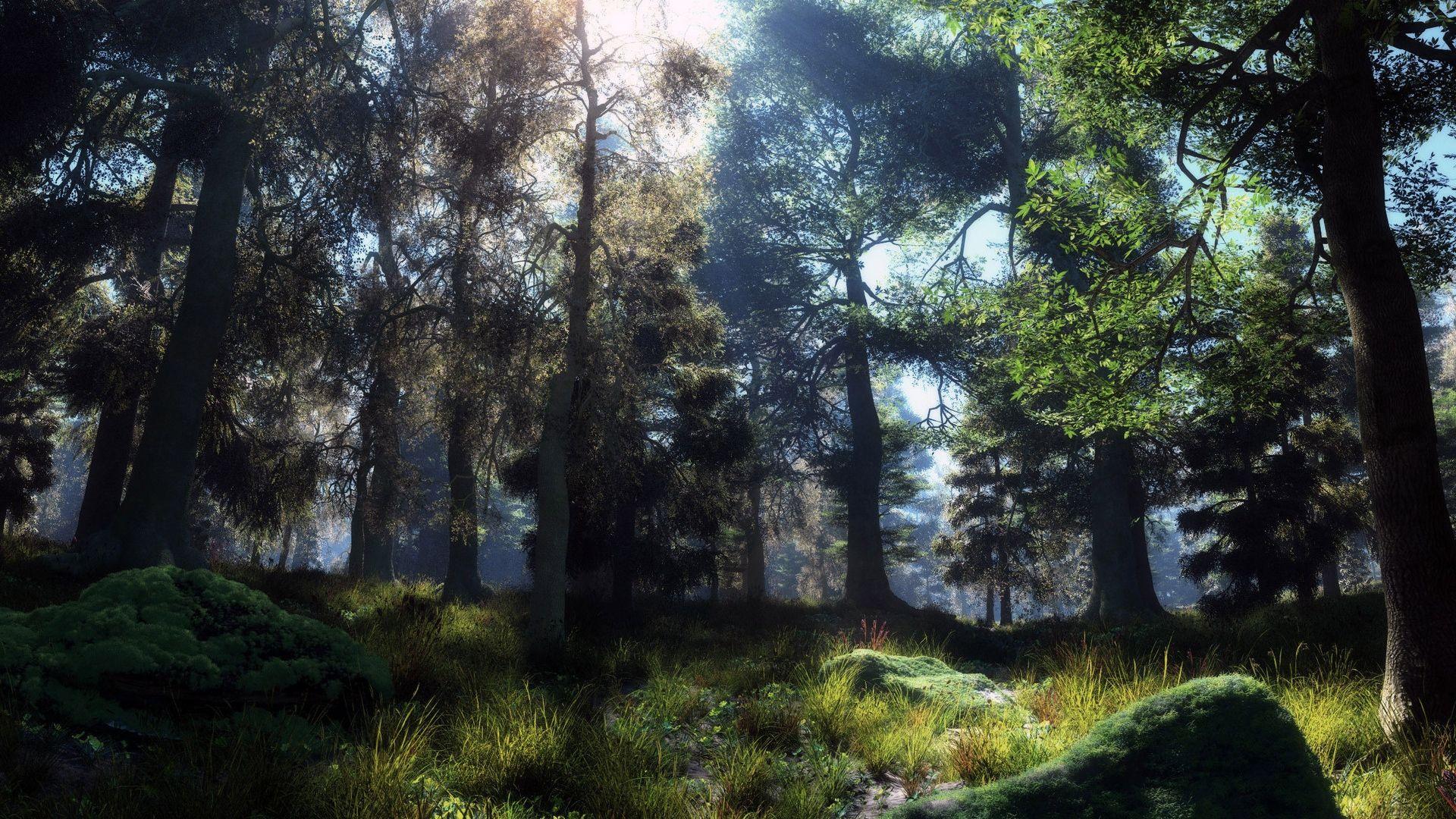 Psychedelic Forest Wallpapers - Top Free Psychedelic Forest Backgrounds ...