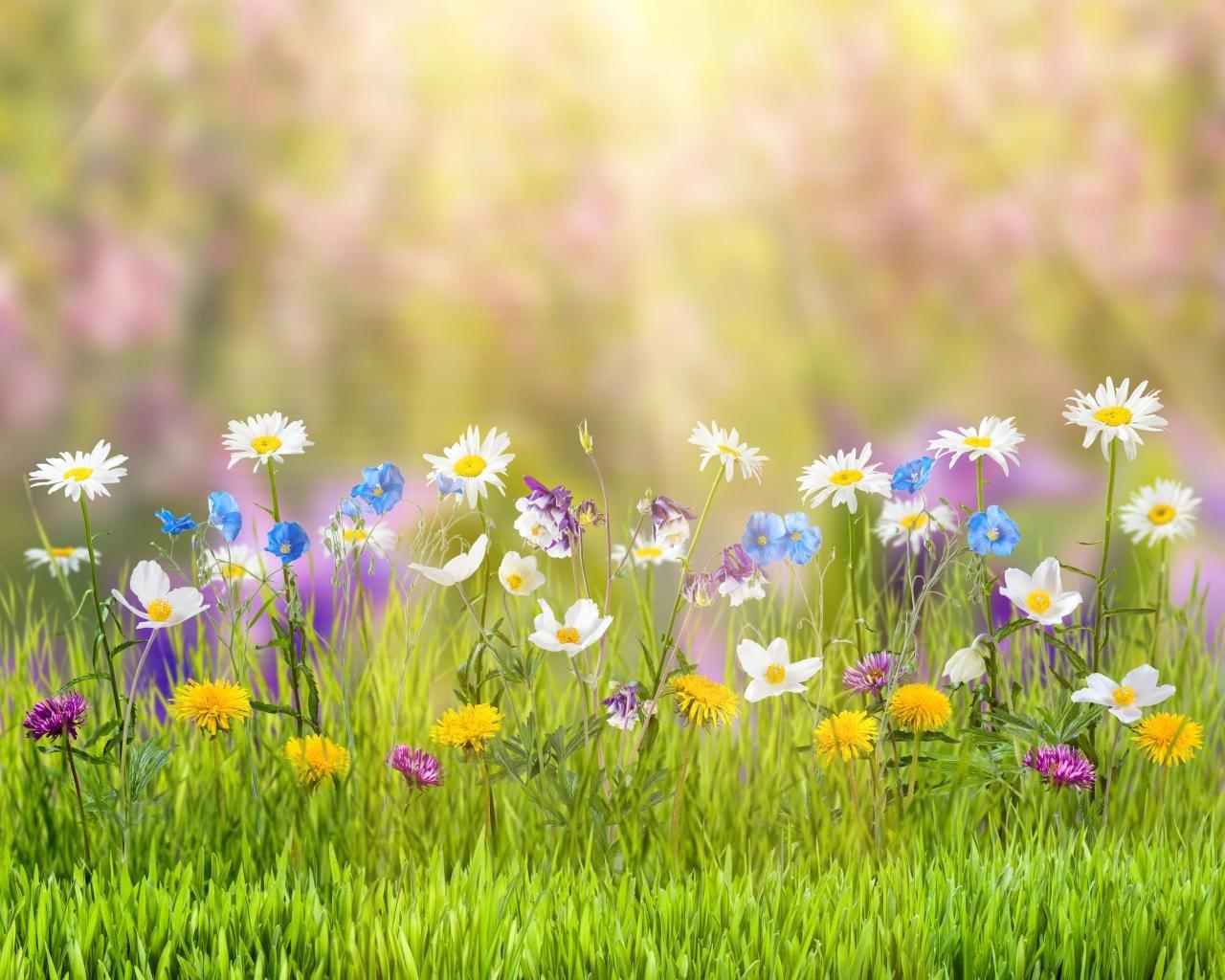 High Resolution Spring Wallpapers - Top Free High Resolution Spring ...