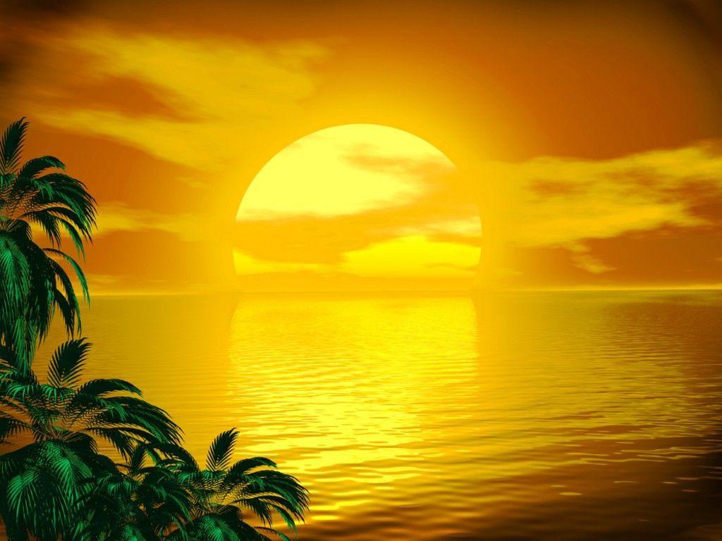 Golden Sunset Wallpapers - Top Free Golden Sunset Backgrounds ...