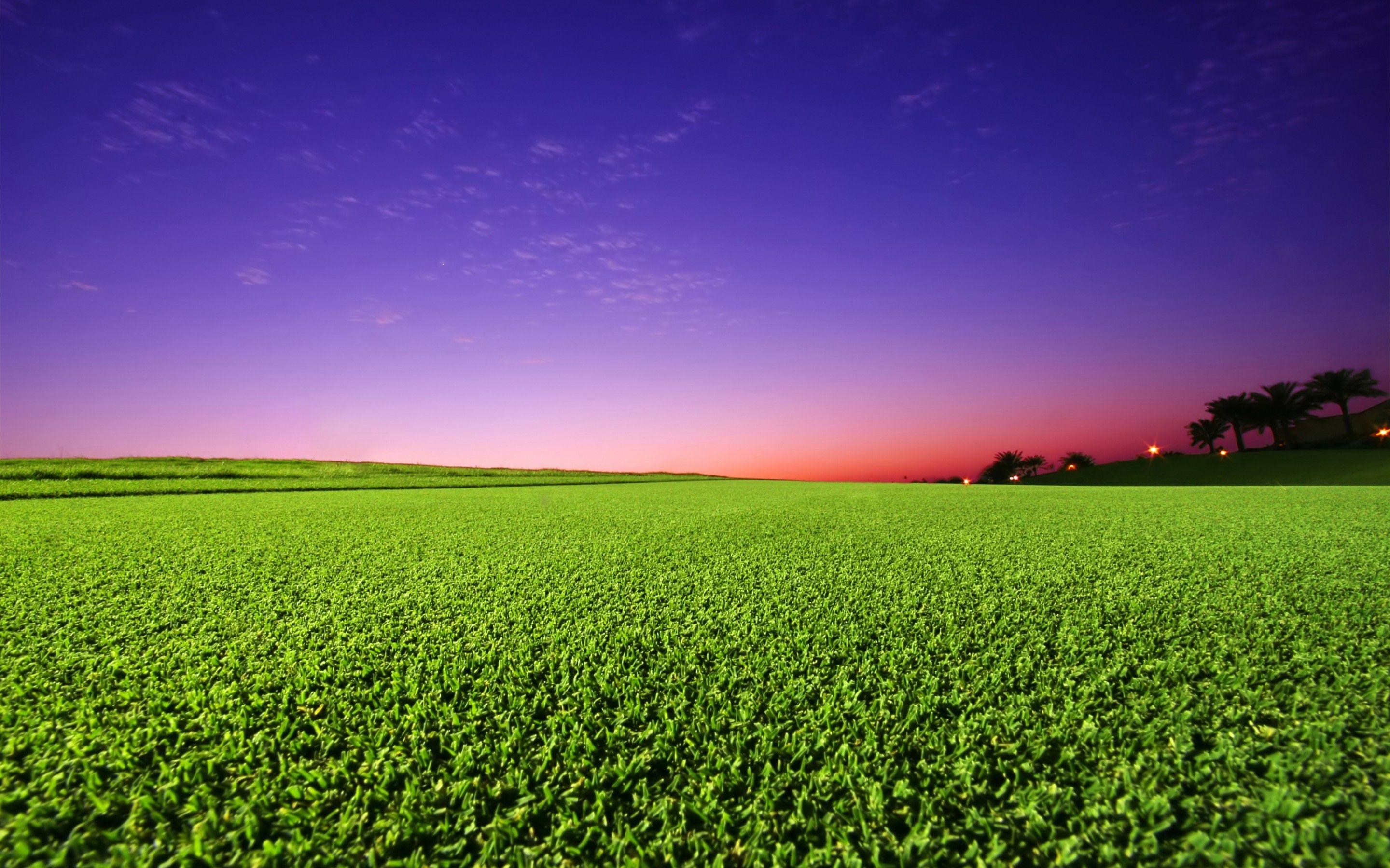 Green Sunset Wallpapers - Top Free Green Sunset Backgrounds ...