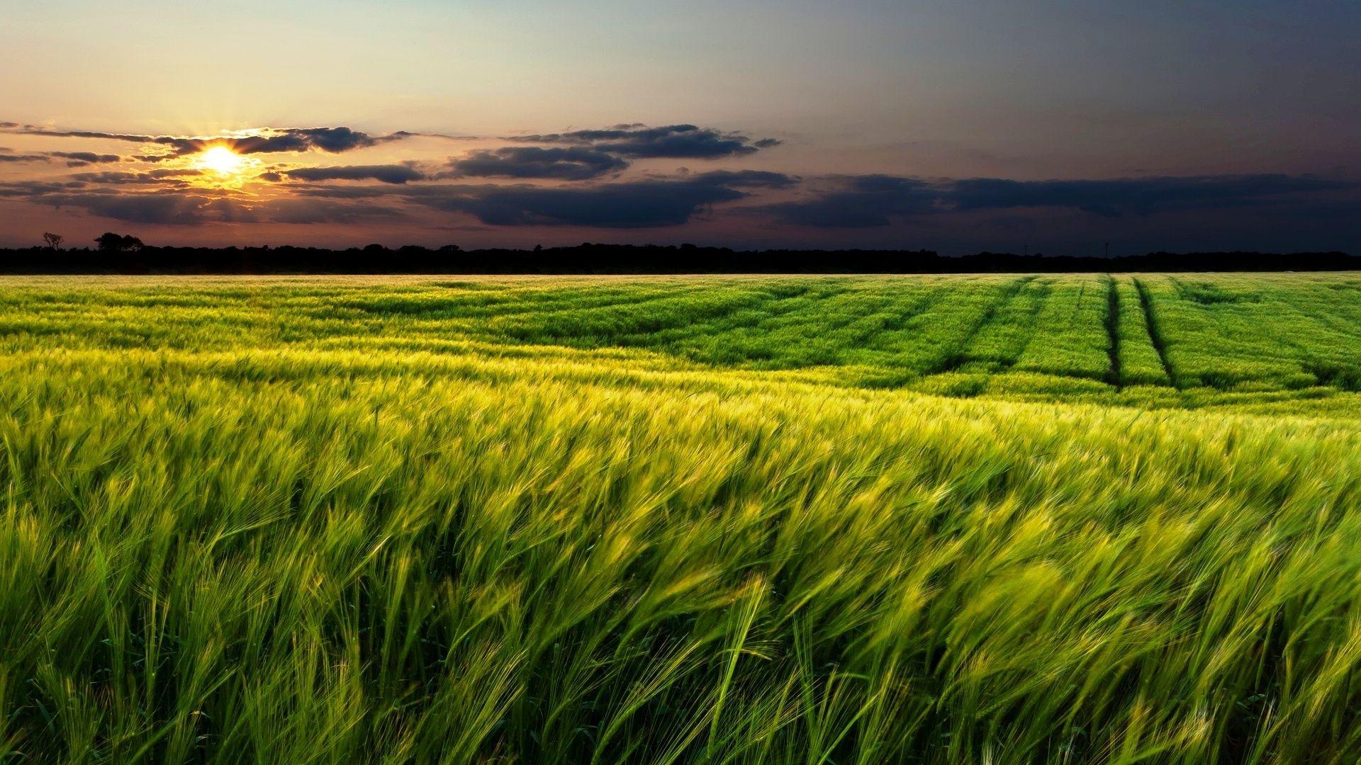 Green Sunset Wallpapers - Top Free Green Sunset Backgrounds ...