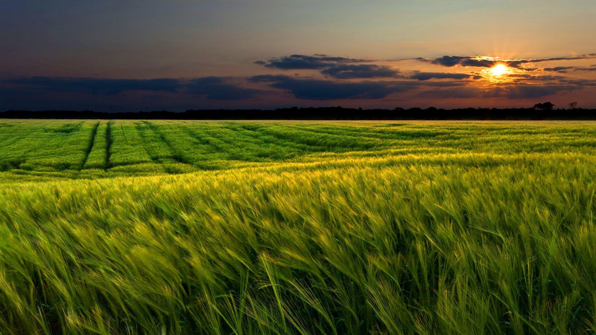 Green Sunset Wallpapers - Top Free Green Sunset Backgrounds ...
