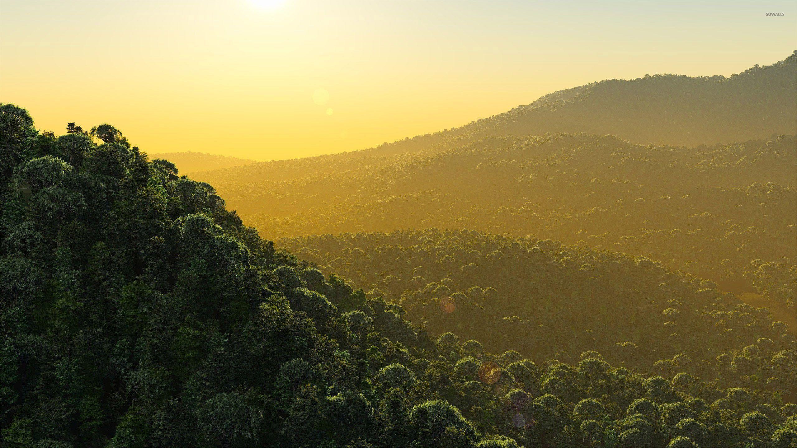 Green Sunset Wallpapers - Top Free Green Sunset Backgrounds ...