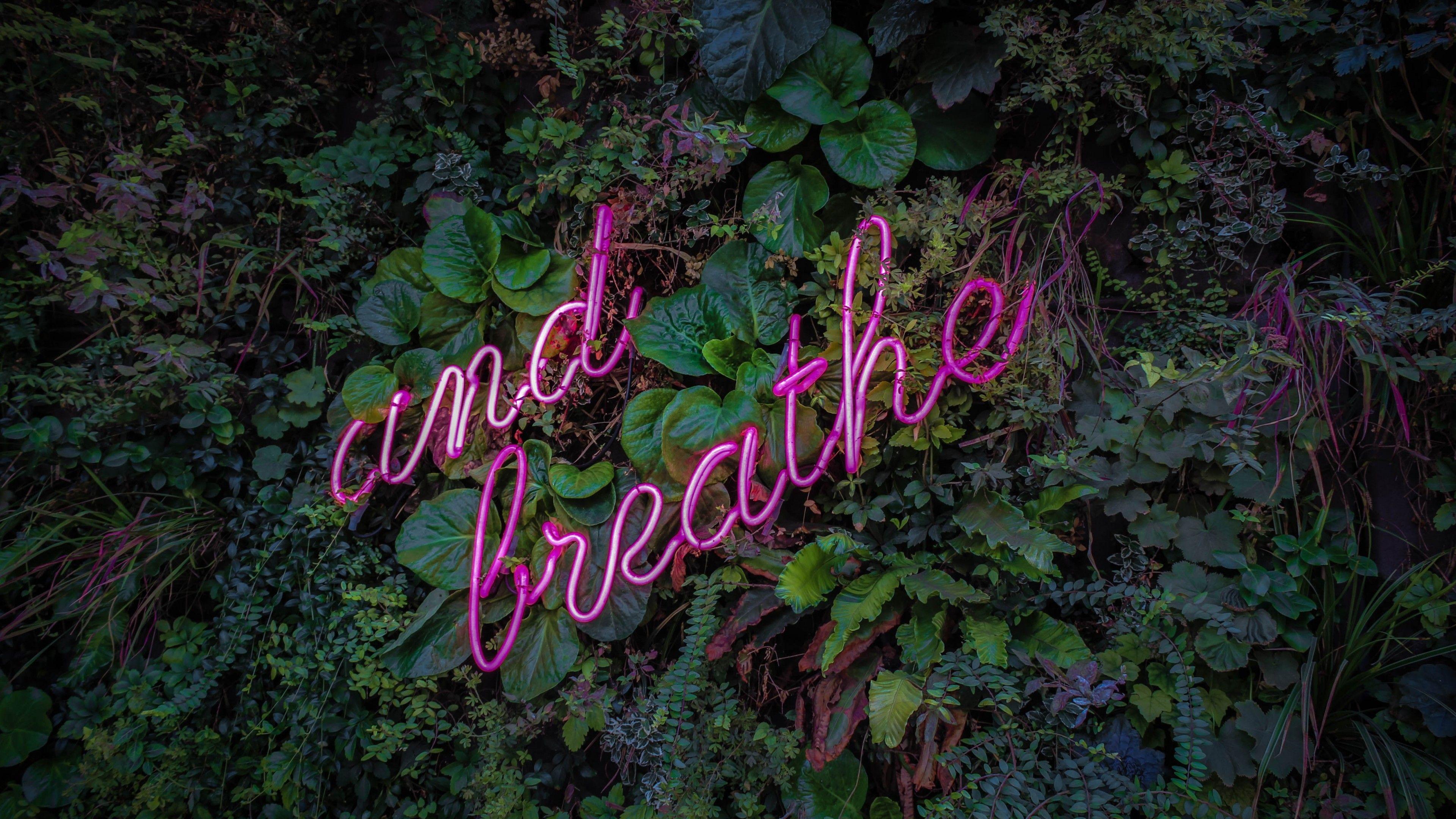 Breathe Laptop Wallpapers - Top Free Breathe Laptop Backgrounds ...