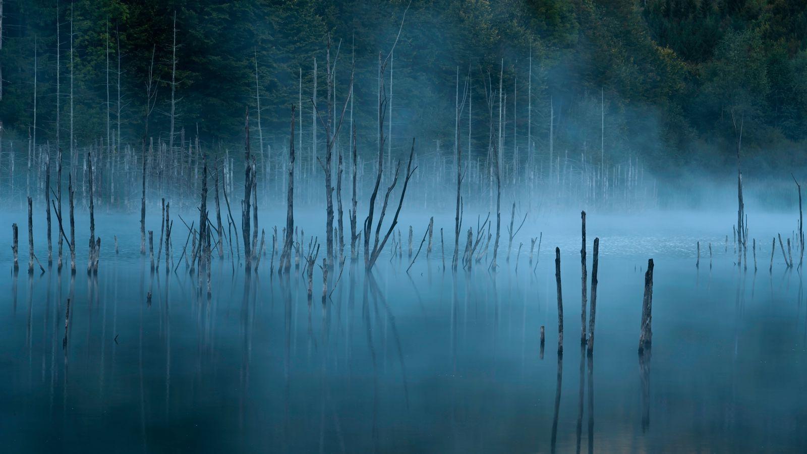 Fog Water Wallpapers - Top Free Fog Water Backgrounds - WallpaperAccess