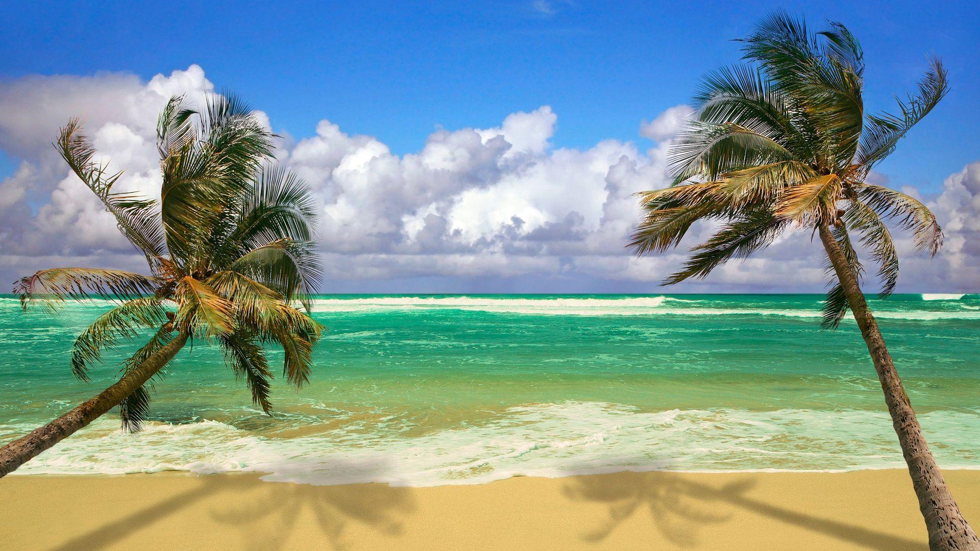 Tropical Scenes Wallpapers - Top Free Tropical Scenes Backgrounds ...