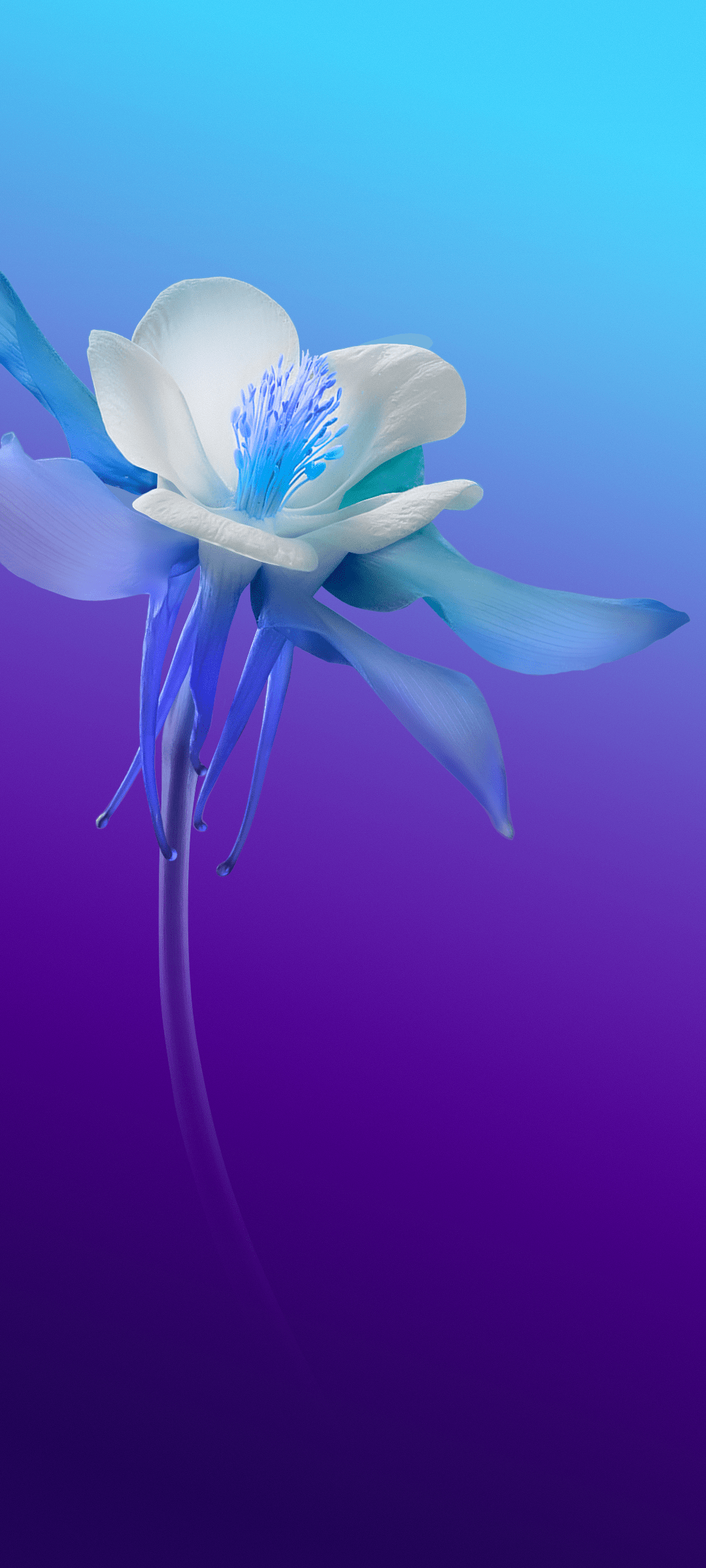Vivo Phone Wallpapers - Top Free Vivo Phone Backgrounds - WallpaperAccess