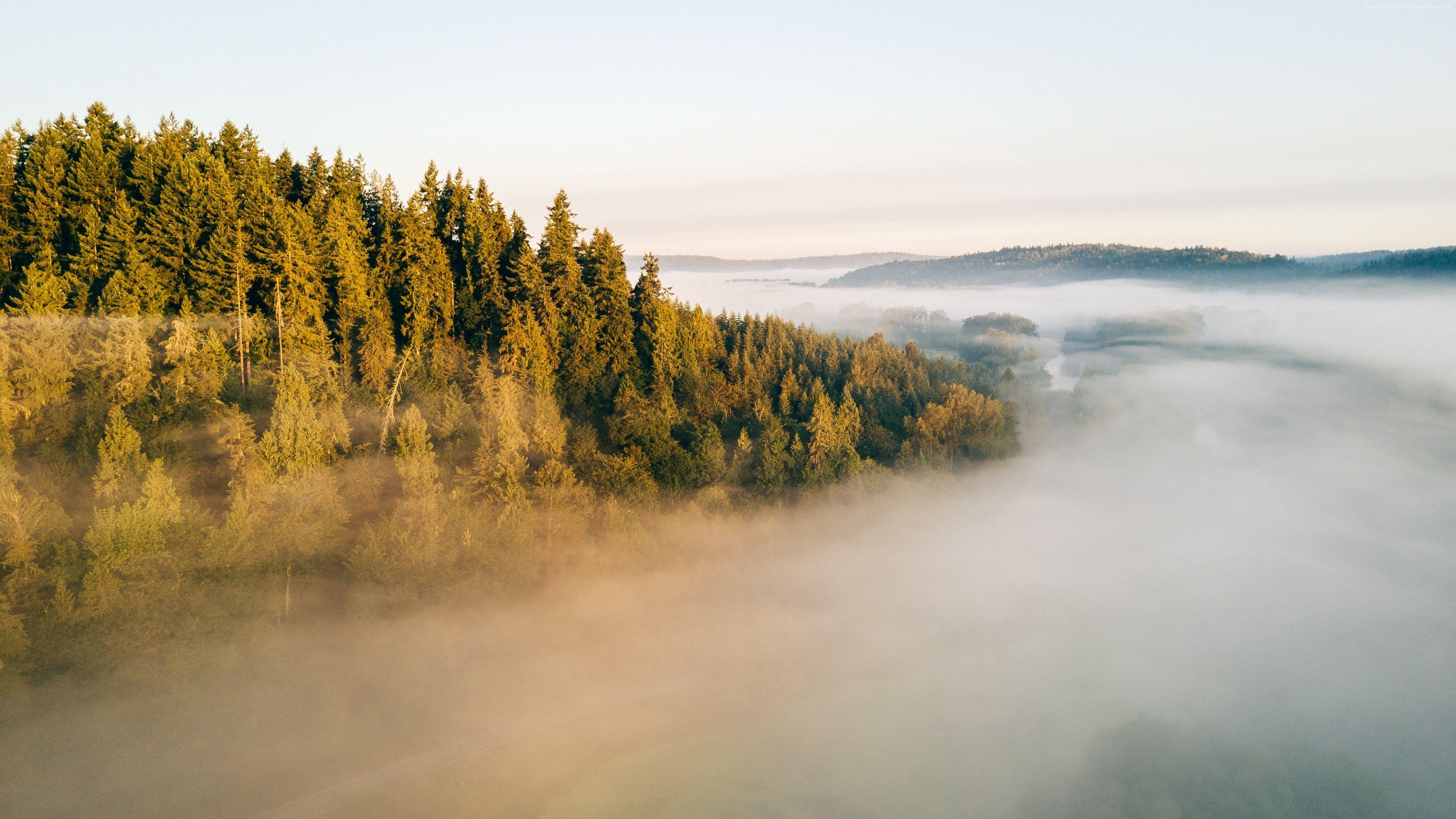 Fog Landscape Wallpapers - Top Free Fog Landscape Backgrounds ...