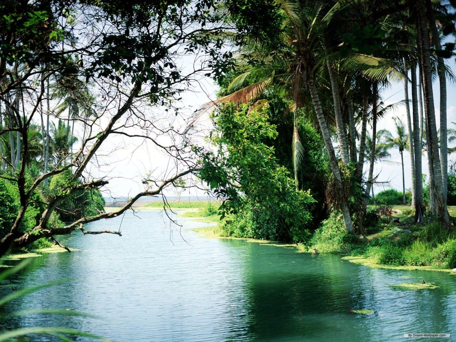 Bali Desktop Wallpapers - Top Free Bali Desktop Backgrounds ...