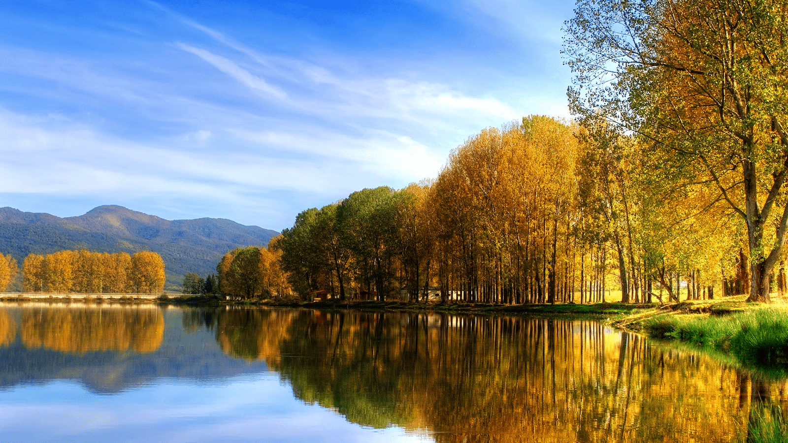 Beautiful Trees Wallpapers - Top Free Beautiful Trees Backgrounds ...