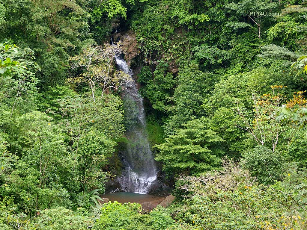 George of the Jungle Wallpapers - Top Free George of the Jungle ...