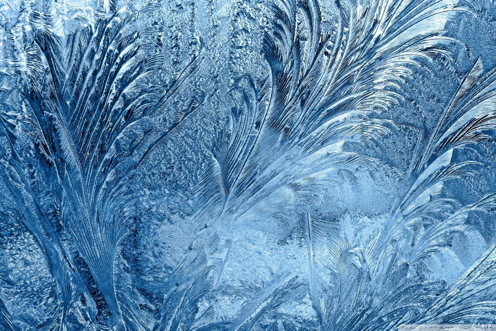 Ice Flower Wallpapers - Top Free Ice Flower Backgrounds - WallpaperAccess
