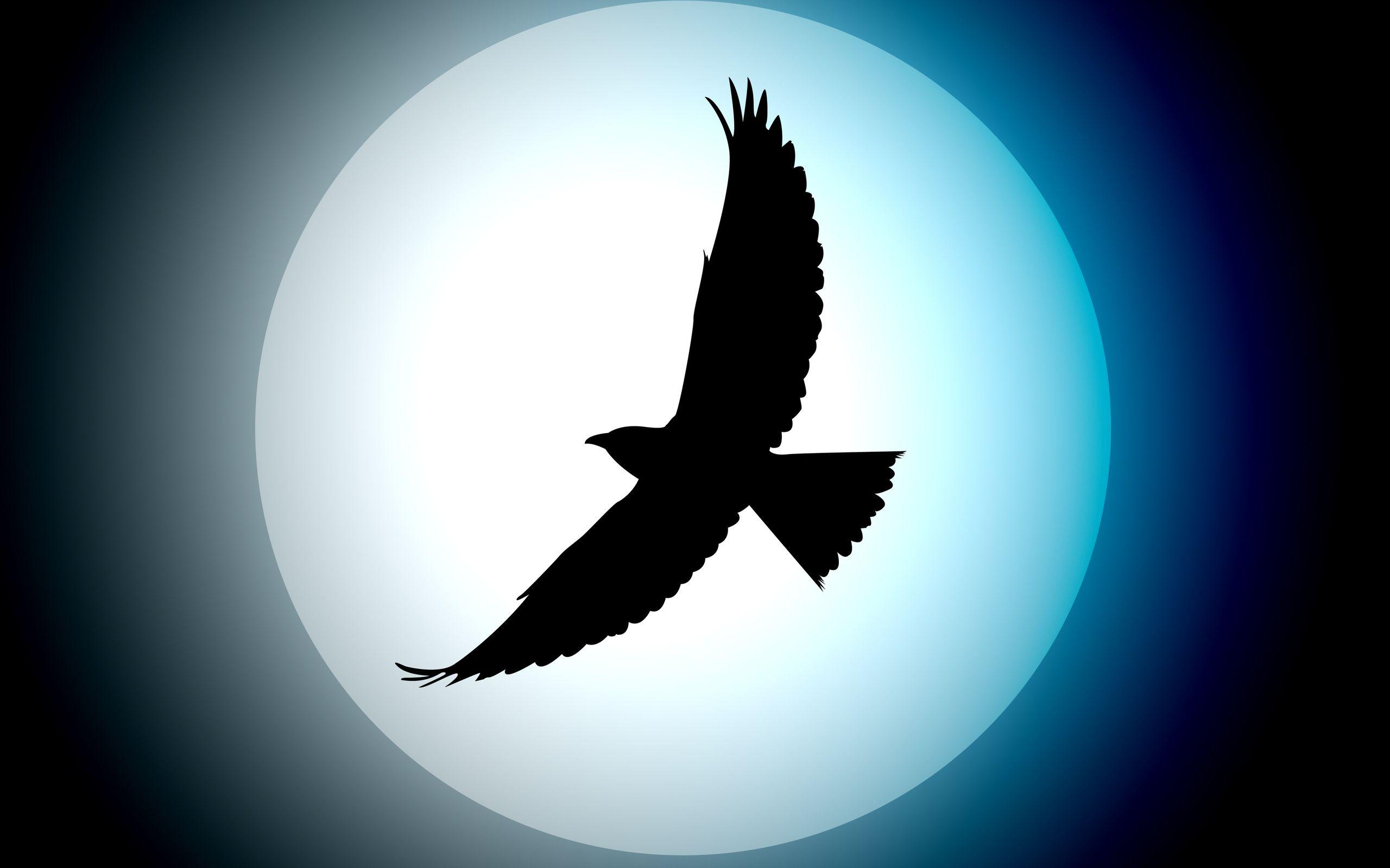 Cool Crow Wallpapers - Top Free Cool Crow Backgrounds - WallpaperAccess