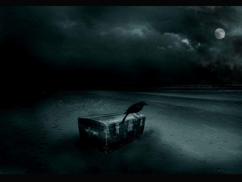 Cool Crow Wallpapers - Top Free Cool Crow Backgrounds - WallpaperAccess