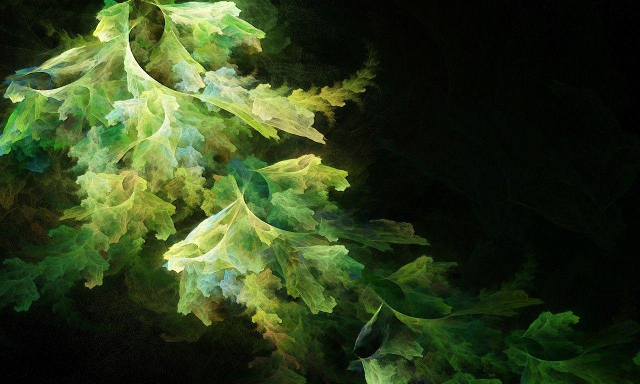 Lettuce Wallpapers - Top Free Lettuce Backgrounds - WallpaperAccess