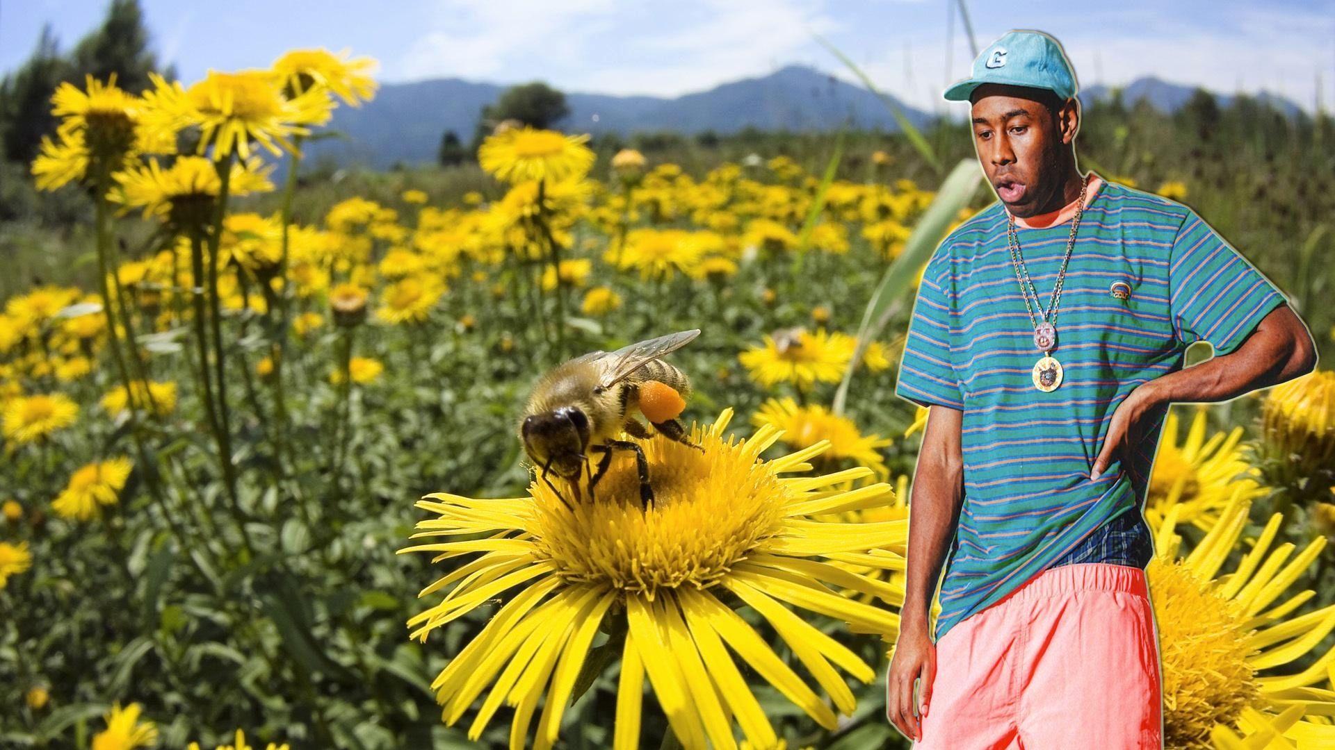 Flower Boy Tyler Wallpapers - Top Free Flower Boy Tyler Backgrounds ...